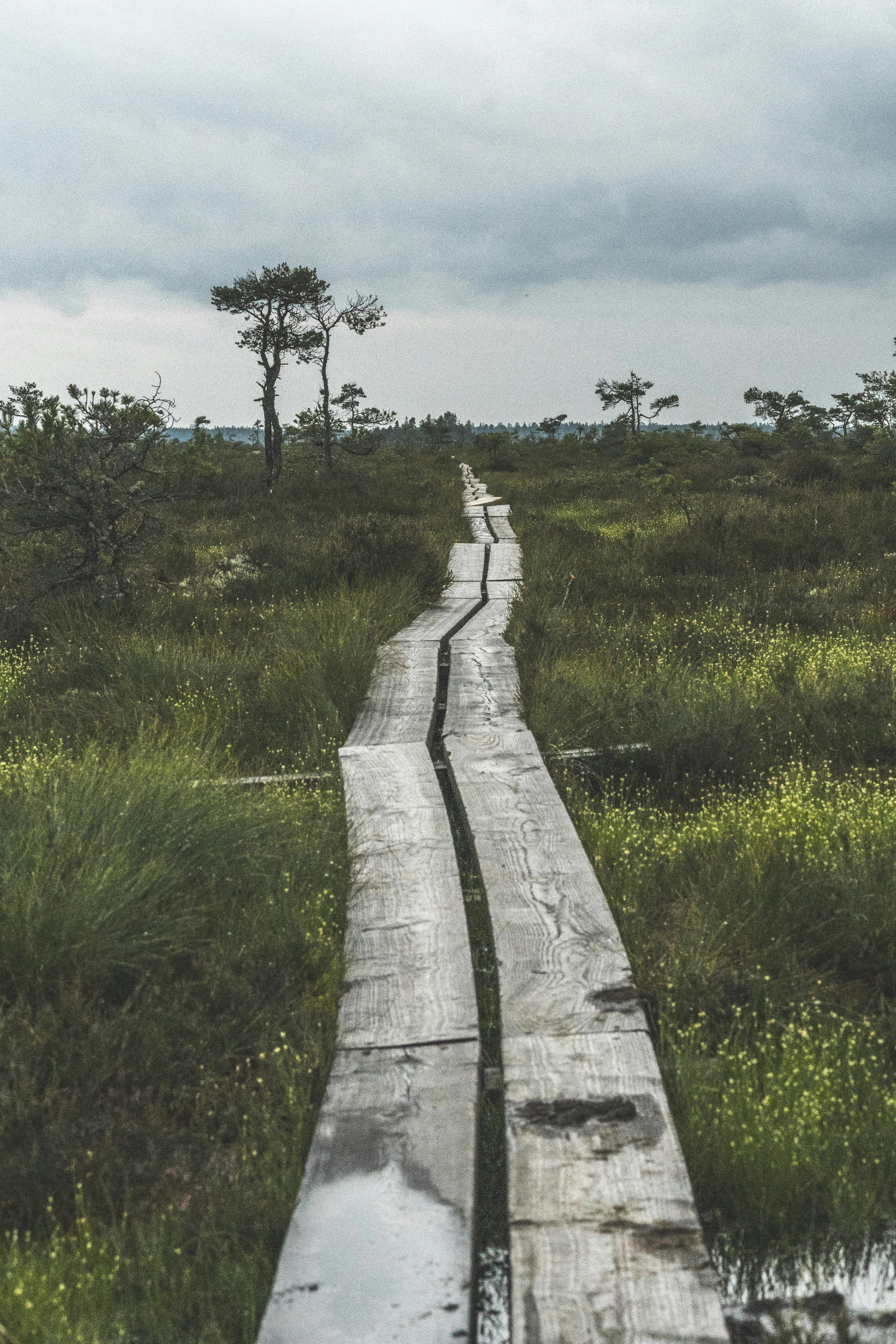 Wooden Boardwalk on Grassland in Countryside · Free Stock Photo