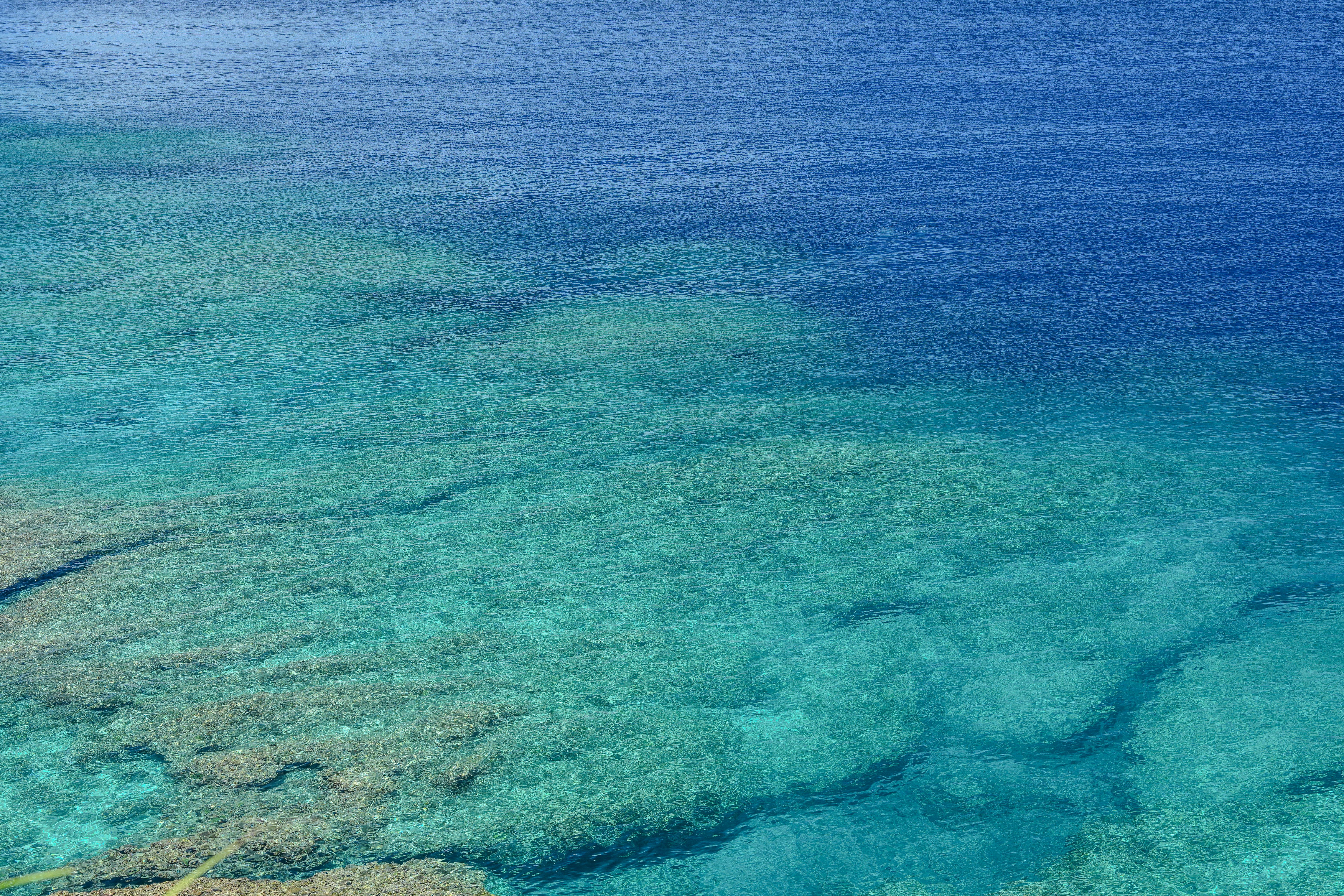 Turquoise Reef in a Sea · Free Stock Photo