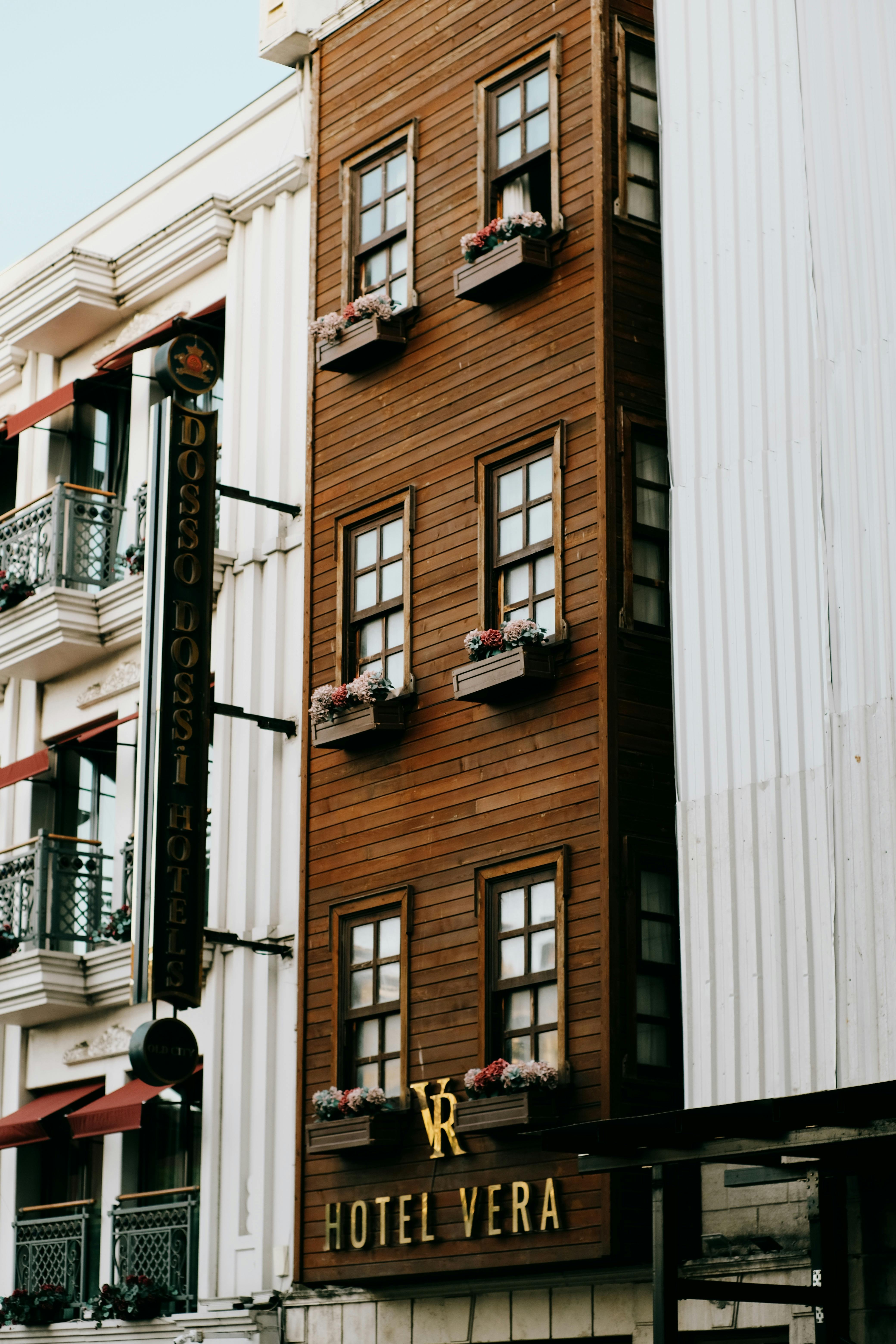 Alow Vera Designs Photos, Download The BEST Free Alow Vera Designs ...