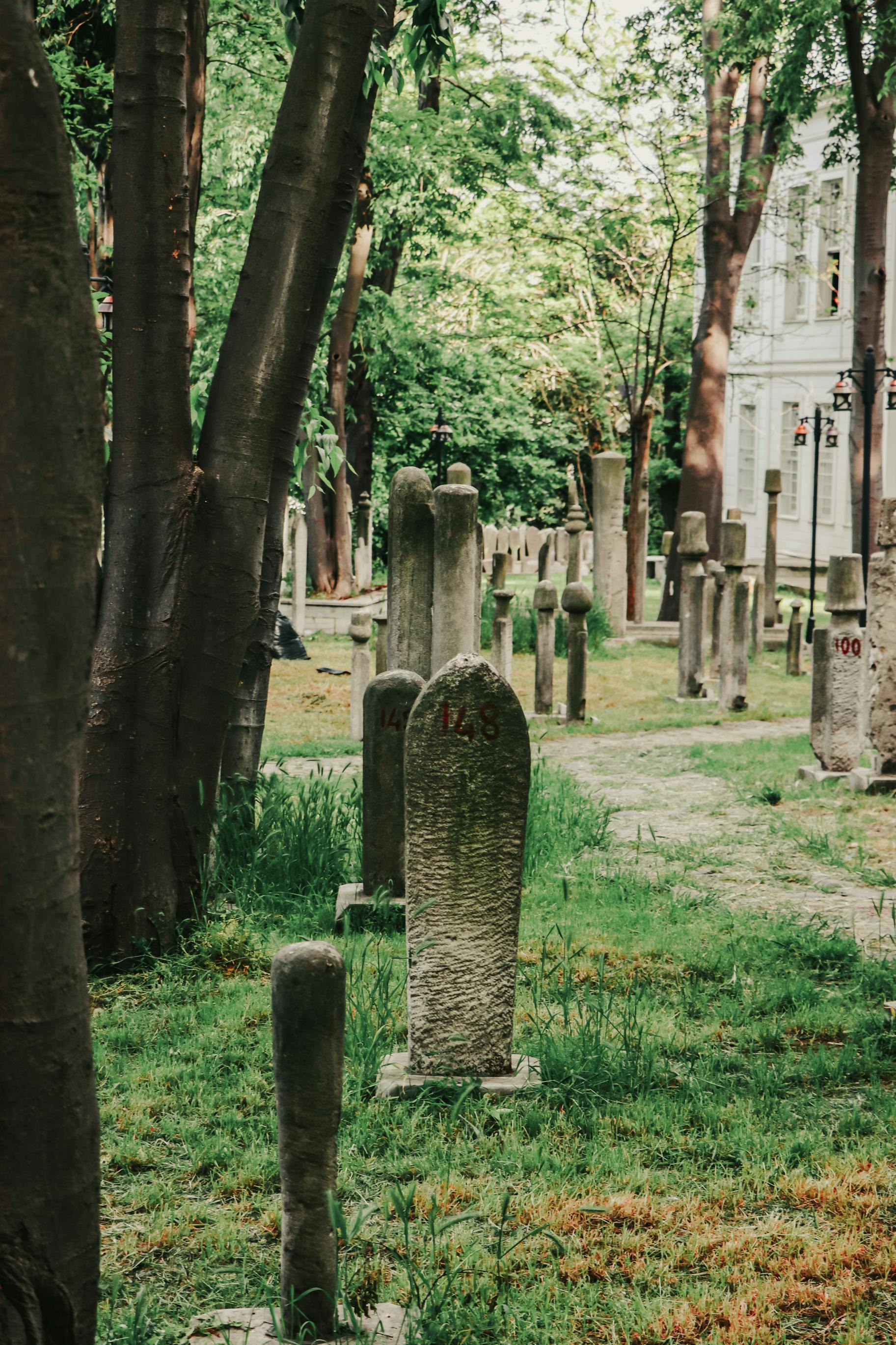 A cemetery with many tombstones in the grass · Free Stock Photo