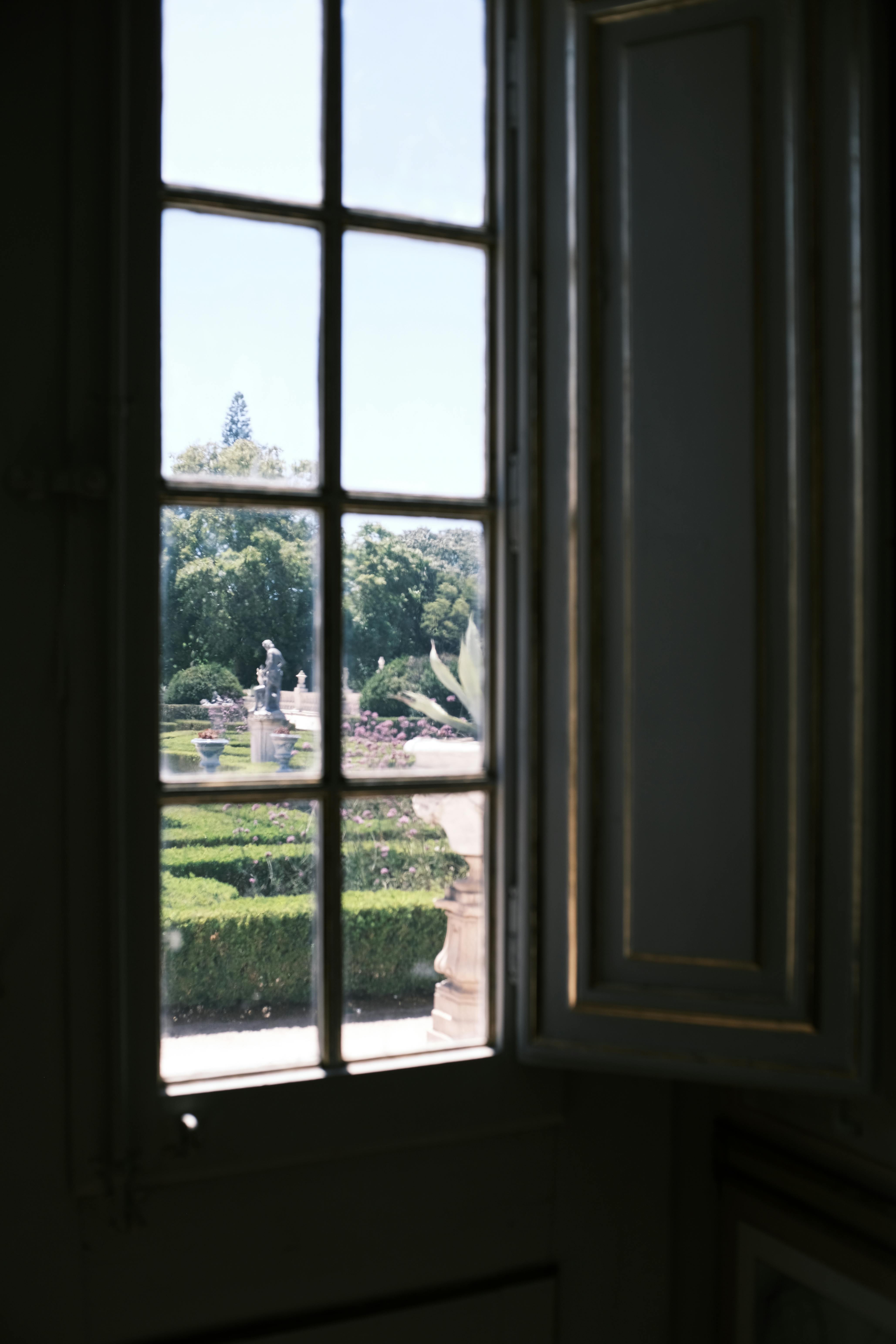Garden Seen From a Window · Free Stock Photo