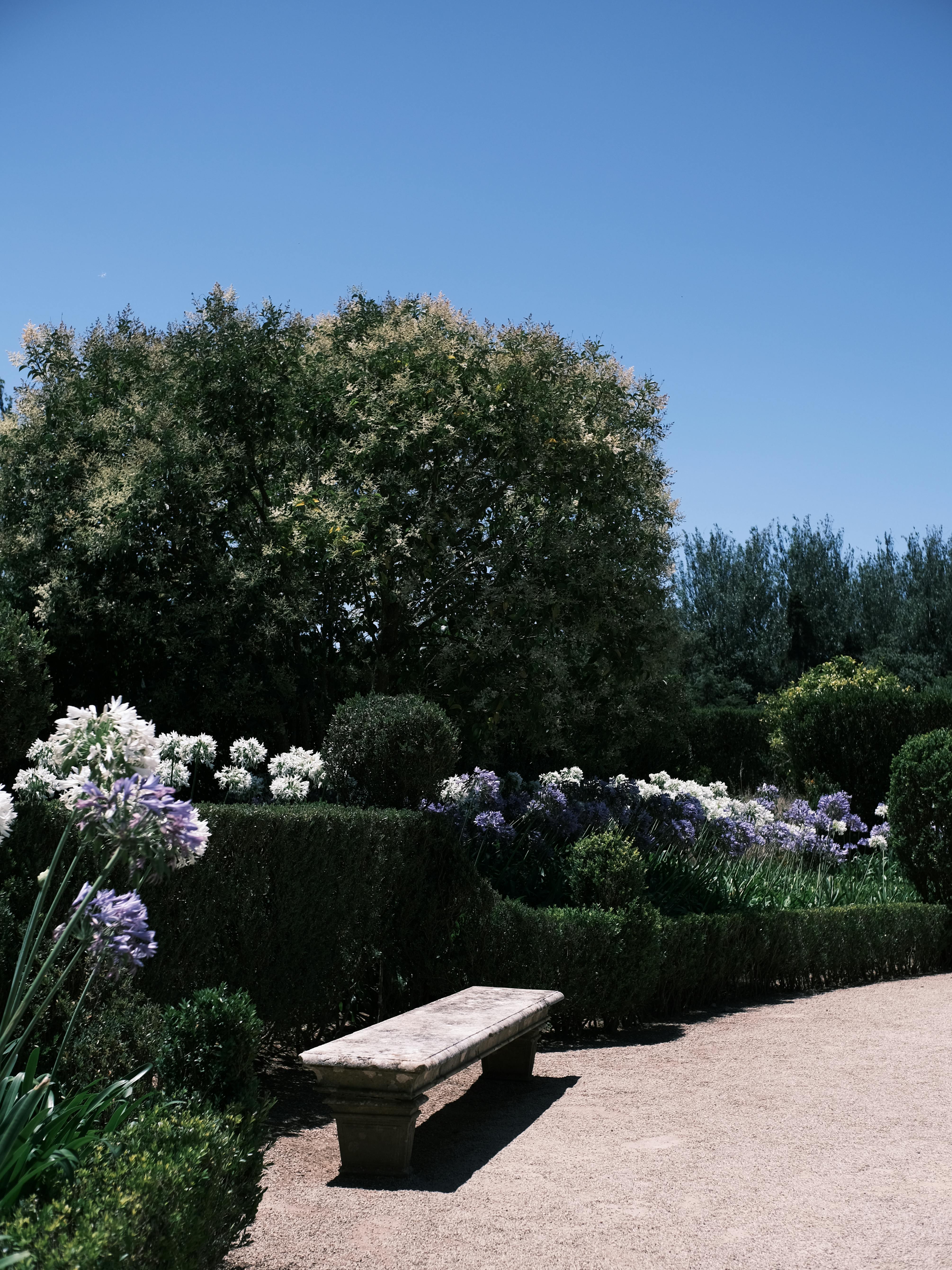 Chirill Ceban - Photography