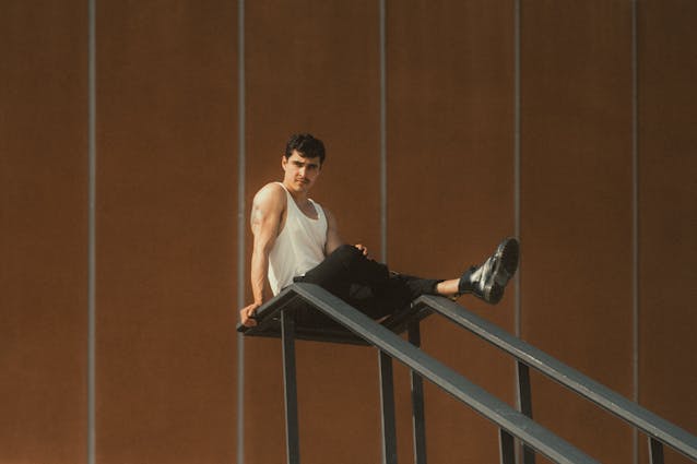 Do Male Dogs Have Testosterone and Its Effects on Behavior