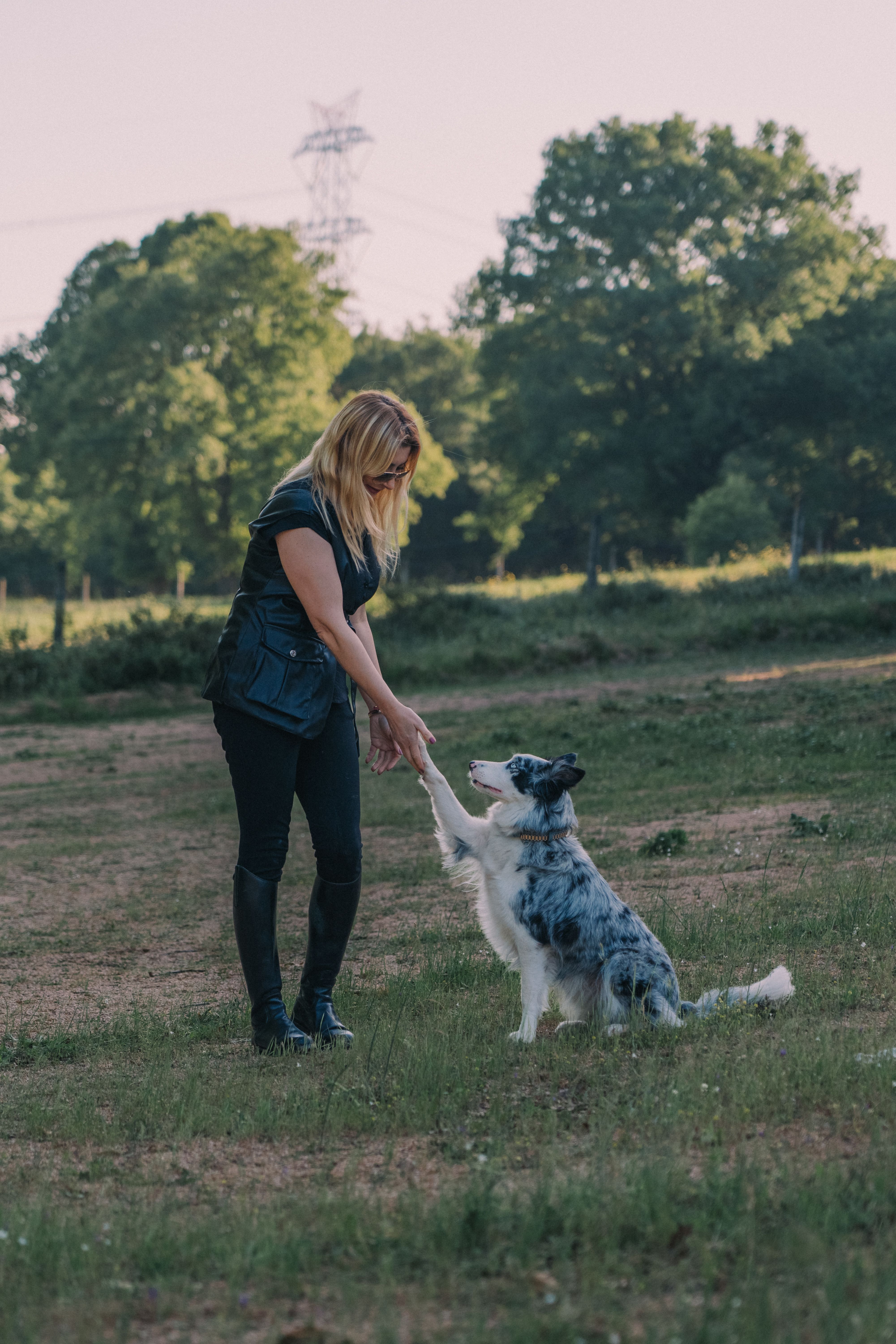 Woman Training Her Dog in the Park · Free Stock Photo
