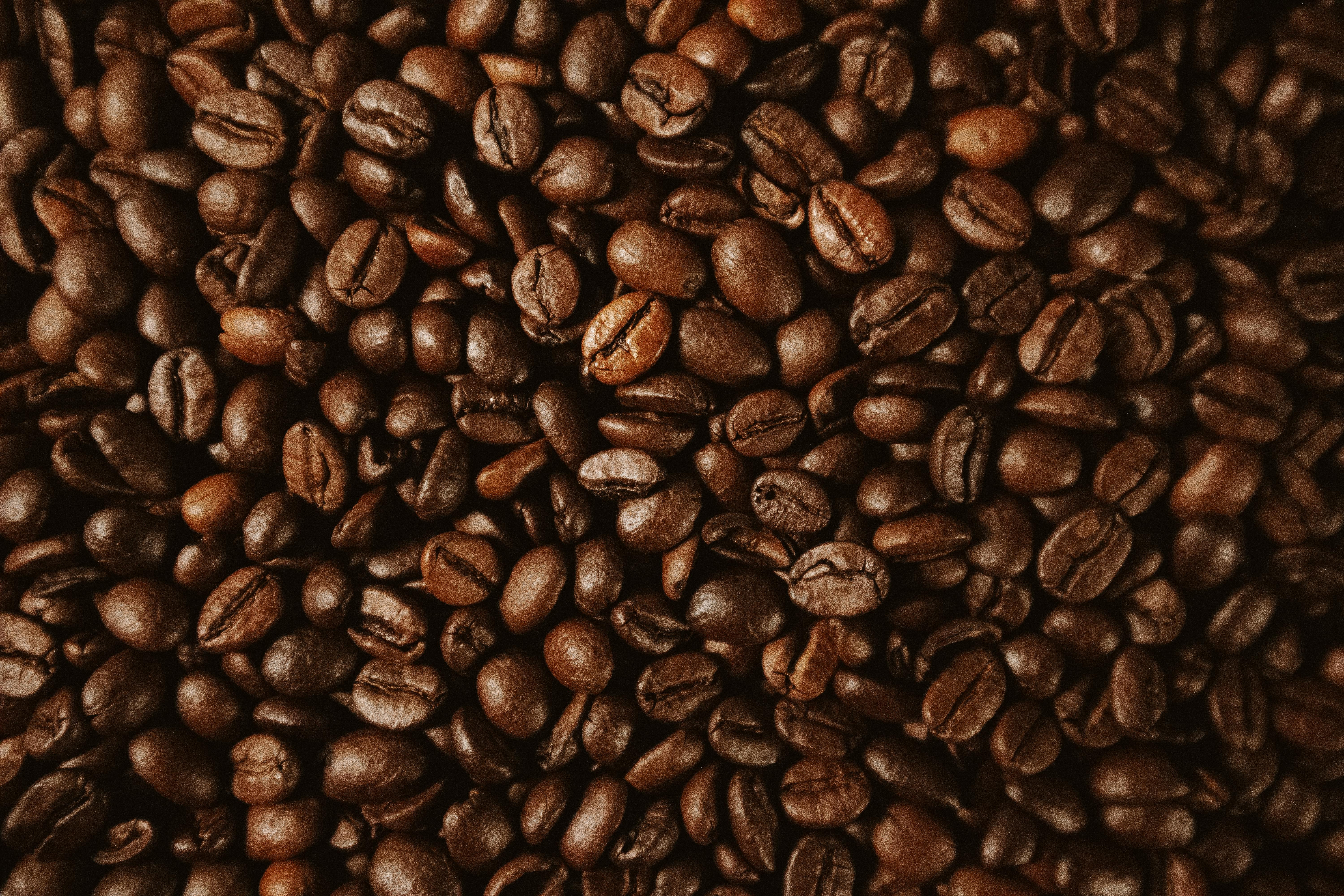 Coffee Beans · Free Stock Photo