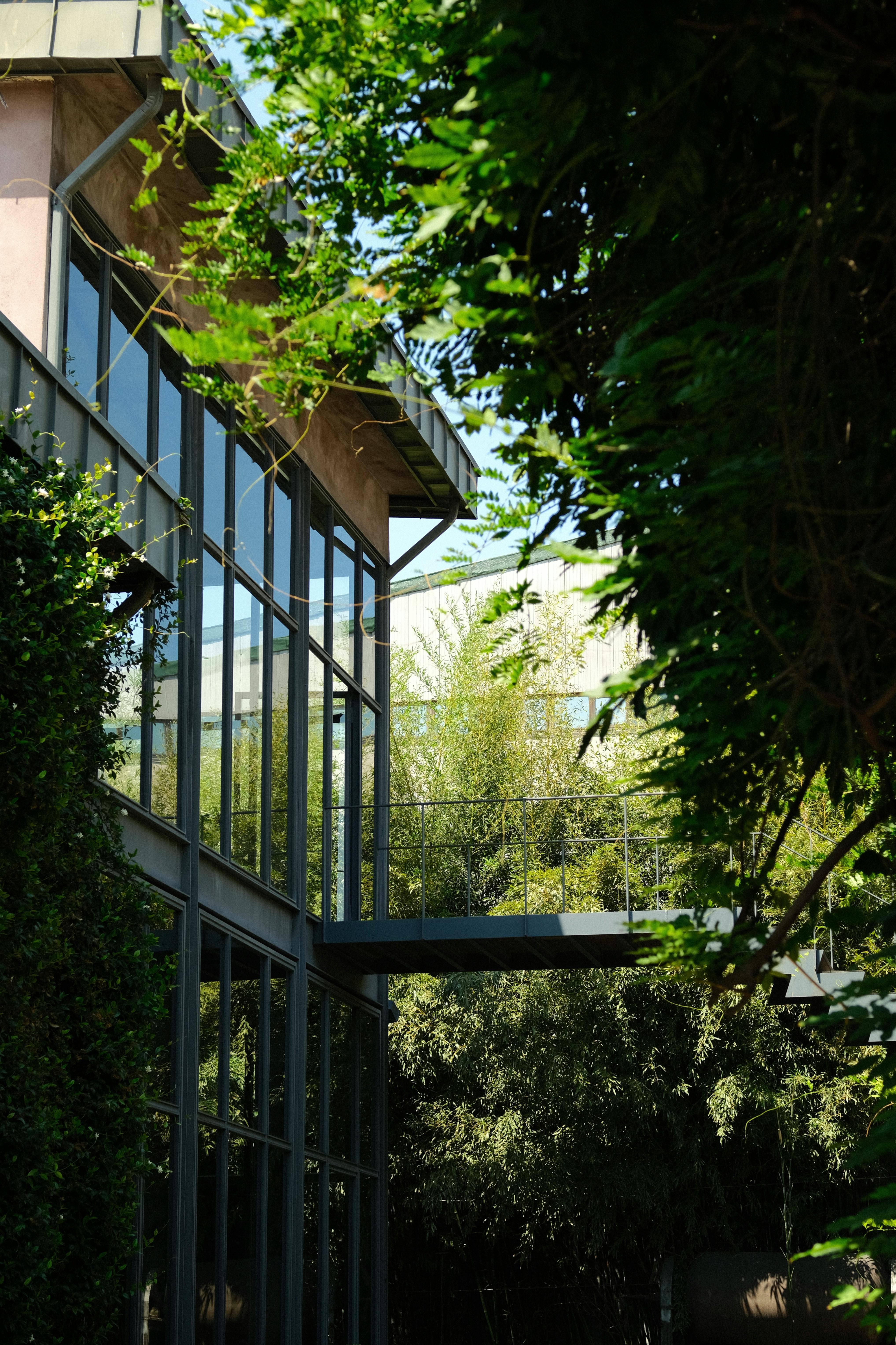 Foto de stock gratuita sobre arboles, cristal, edificio, jardín, jardín trasero, patio, puente ...