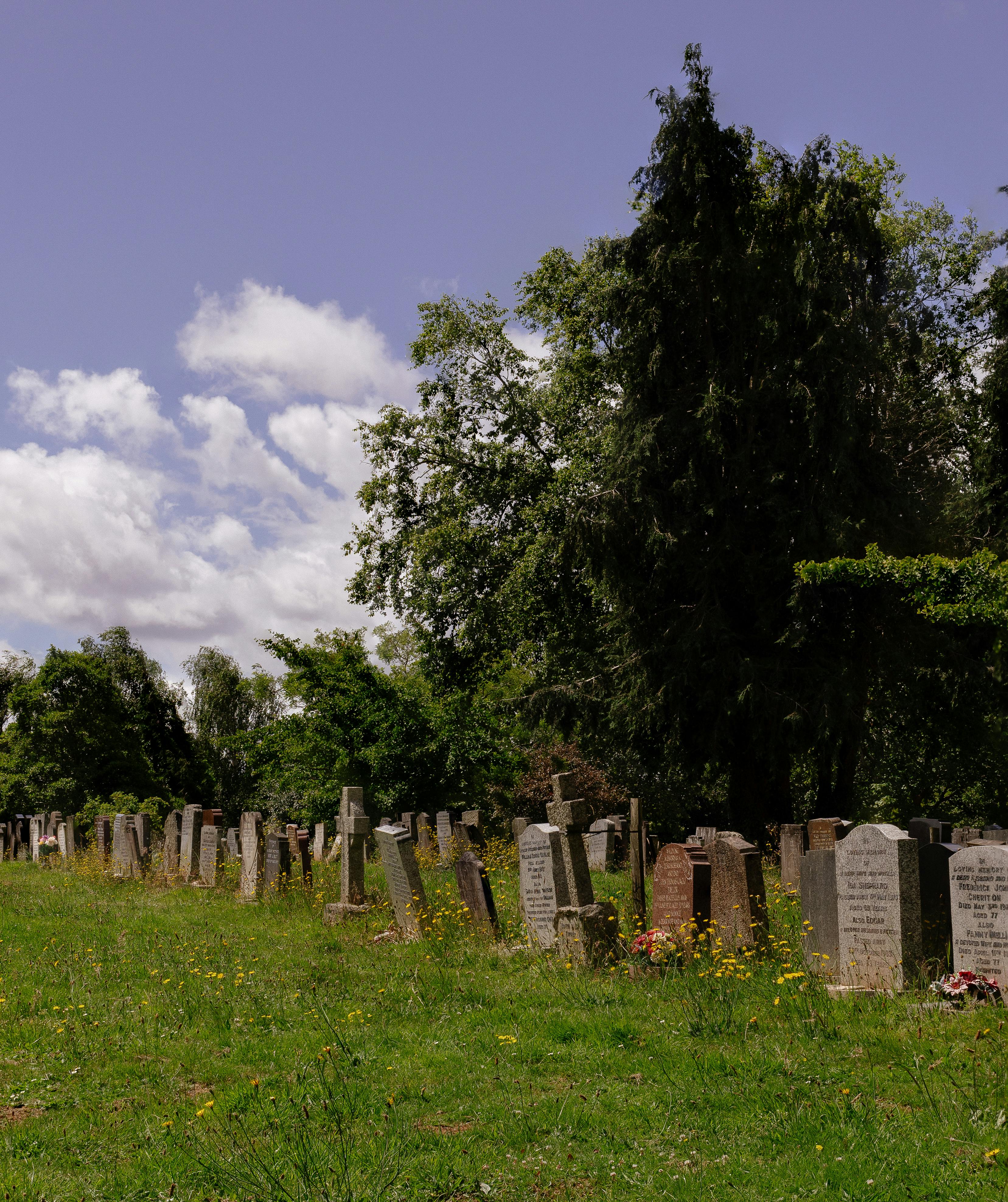 A cemetery with many tombstones and trees · Free Stock Photo