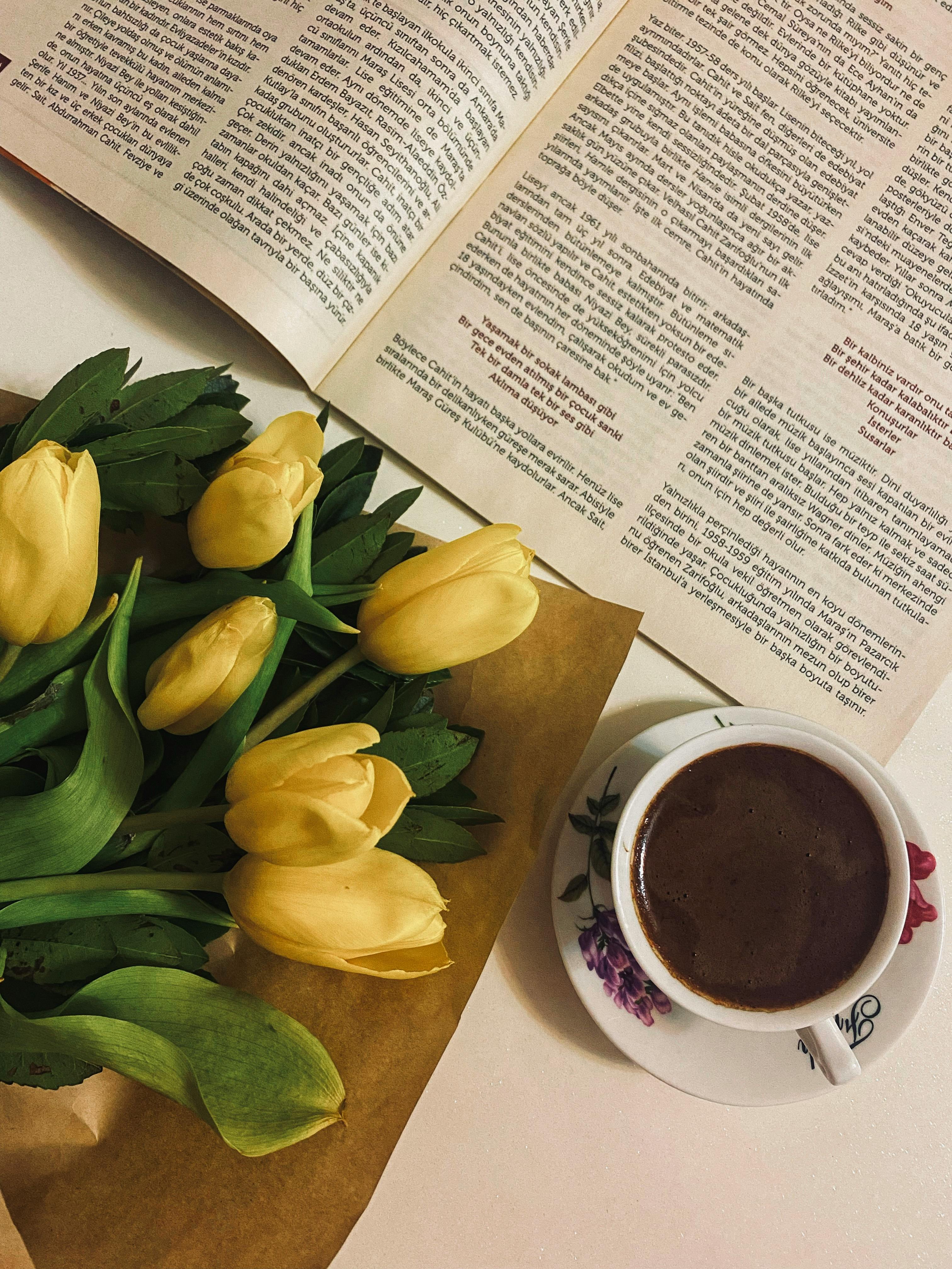 Tulips Coffee Book Photos, Download The BEST Free Tulips Coffee Book ...
