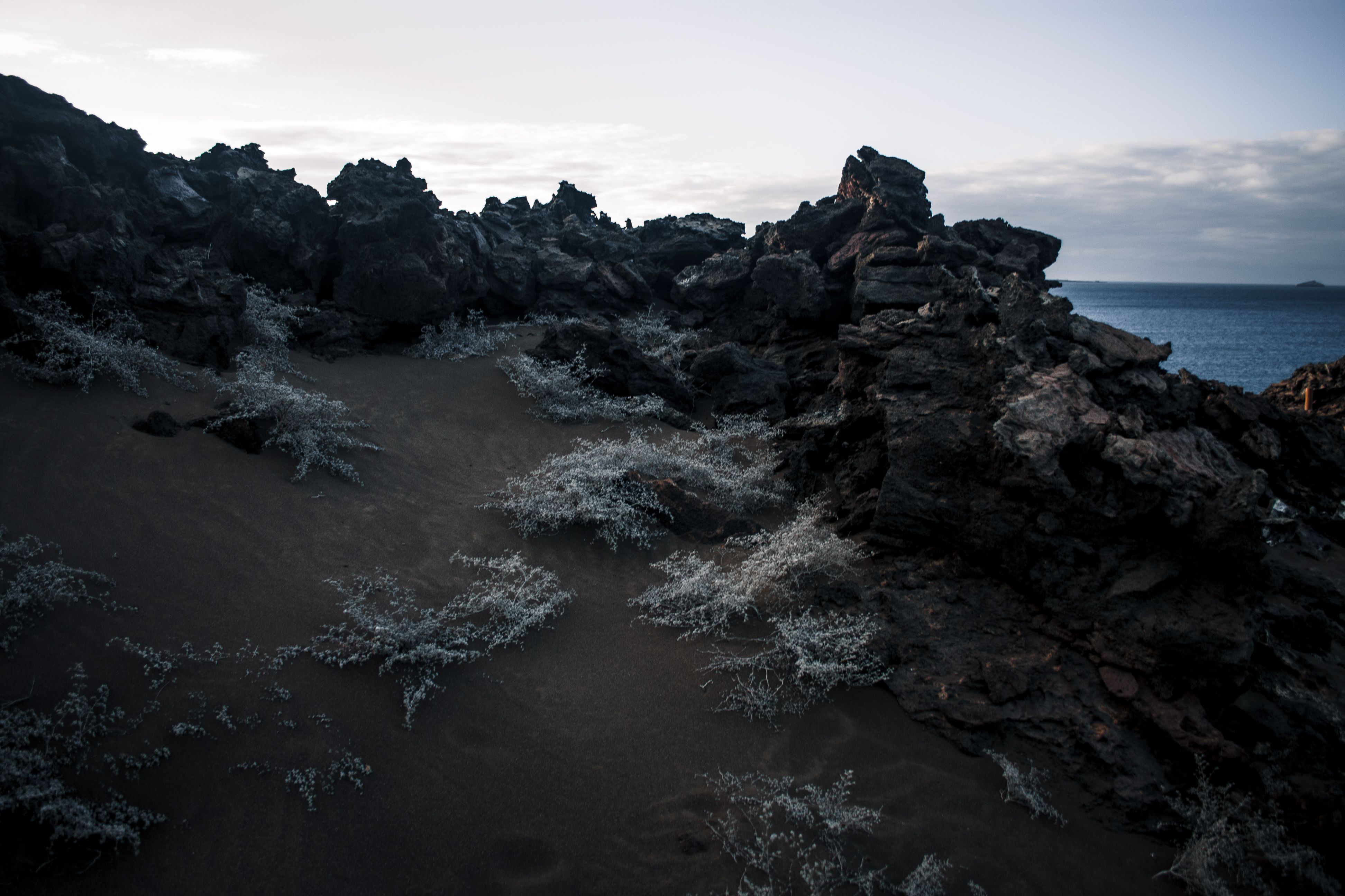 Galapagos Volcanic Terrain with Vegetation · Free Stock Photo