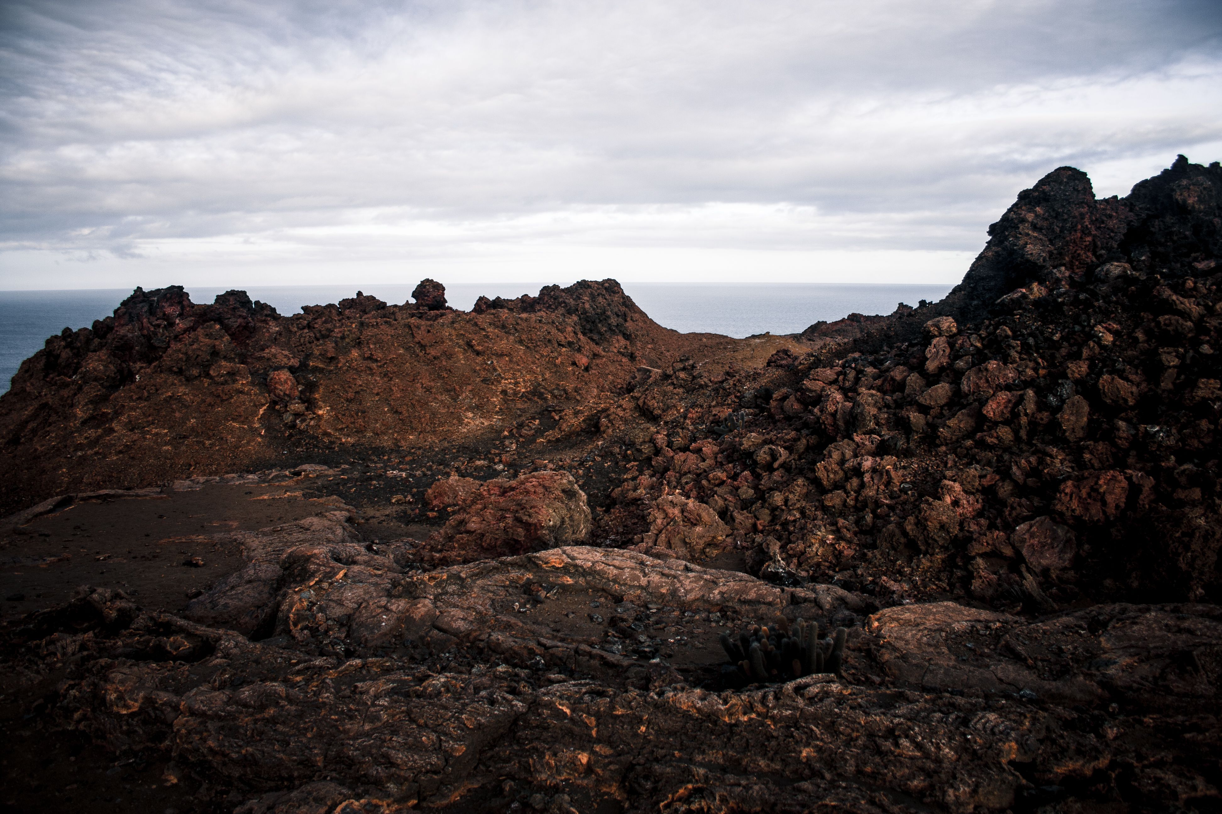 Galapagos Volcanic Rocks and Ocean · Free Stock Photo