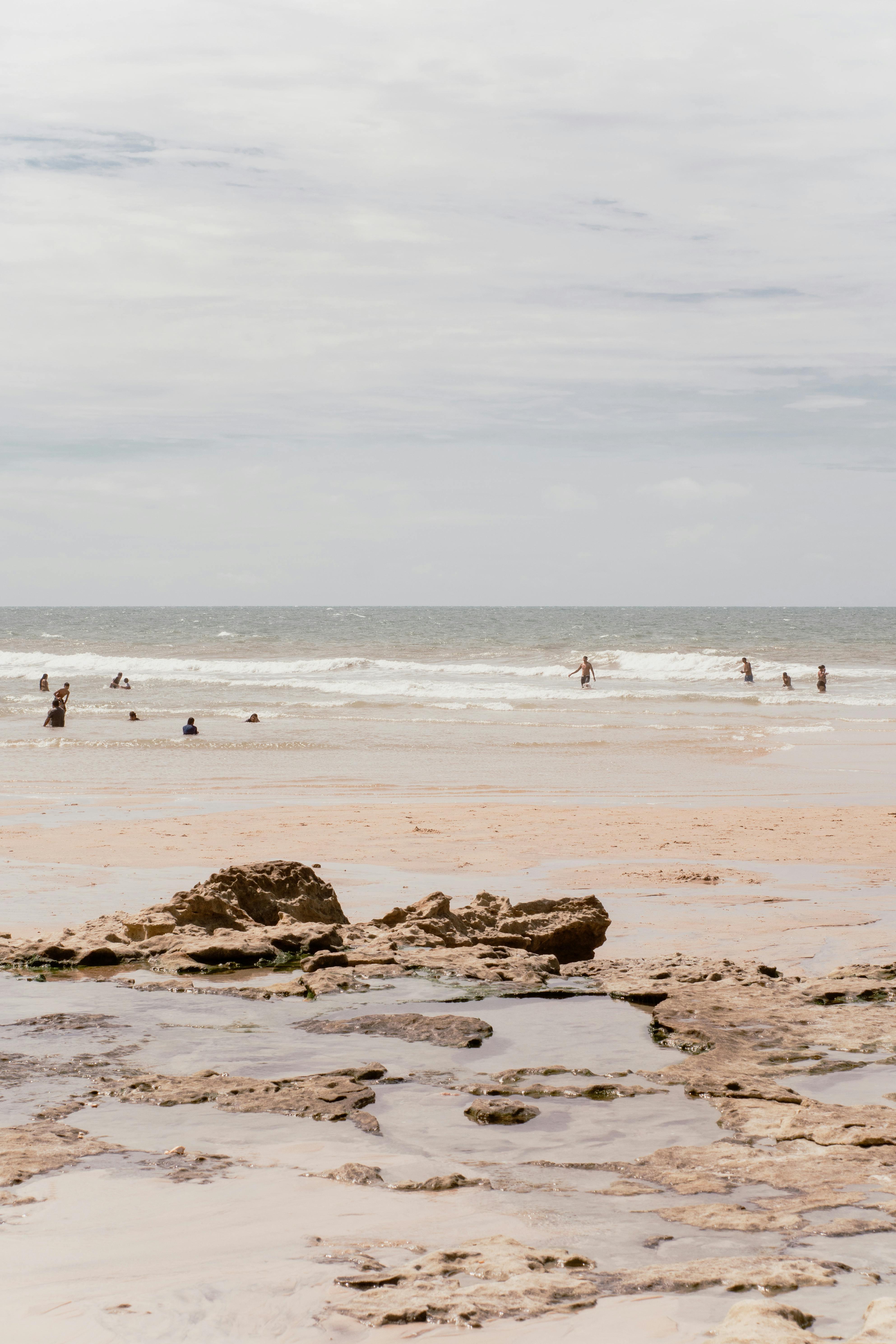 Beach Activities Photos, Download The BEST Free Beach Activities Stock ...