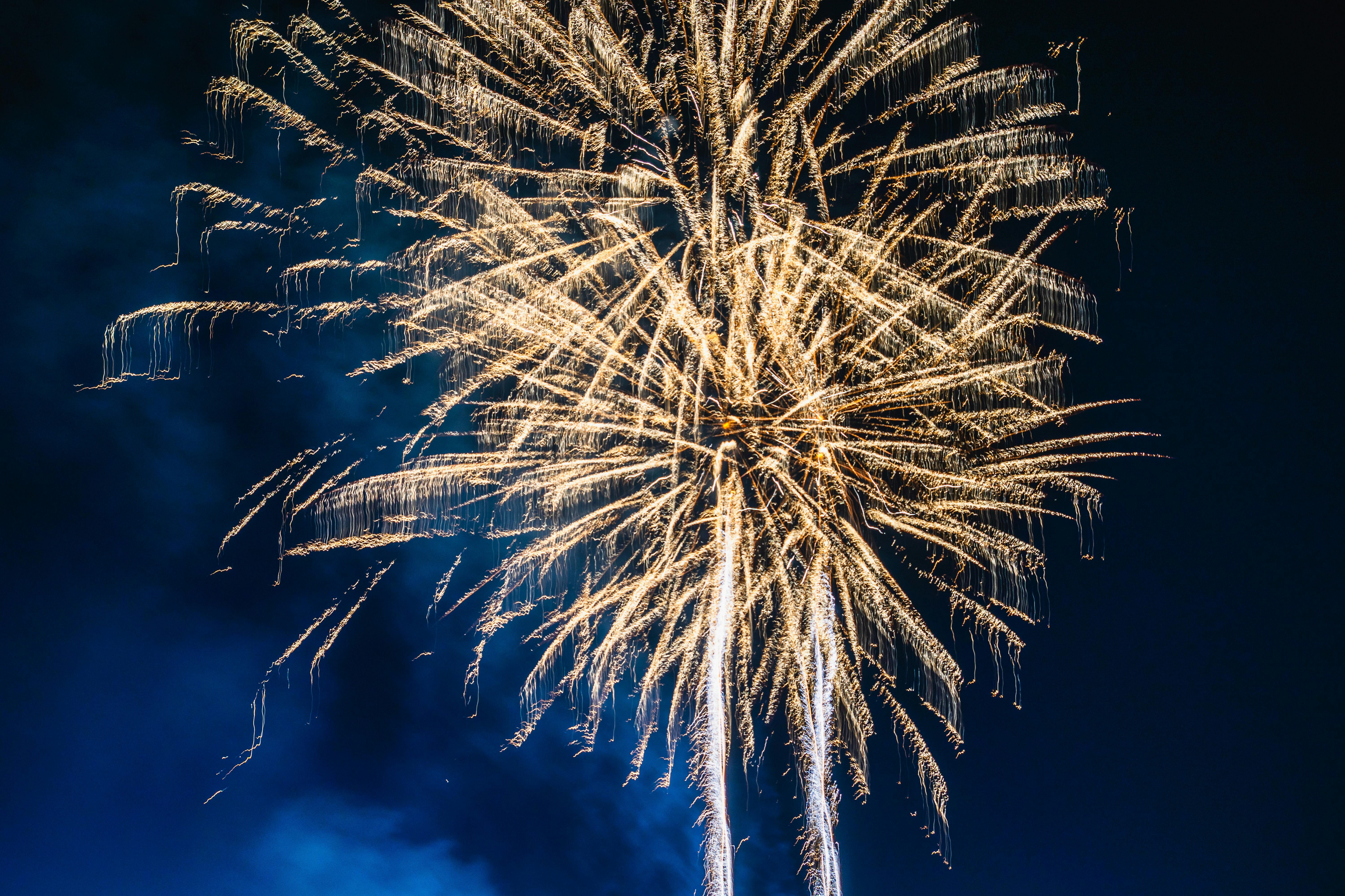 Yellow Fireworks in the Night Sky · Free Stock Photo