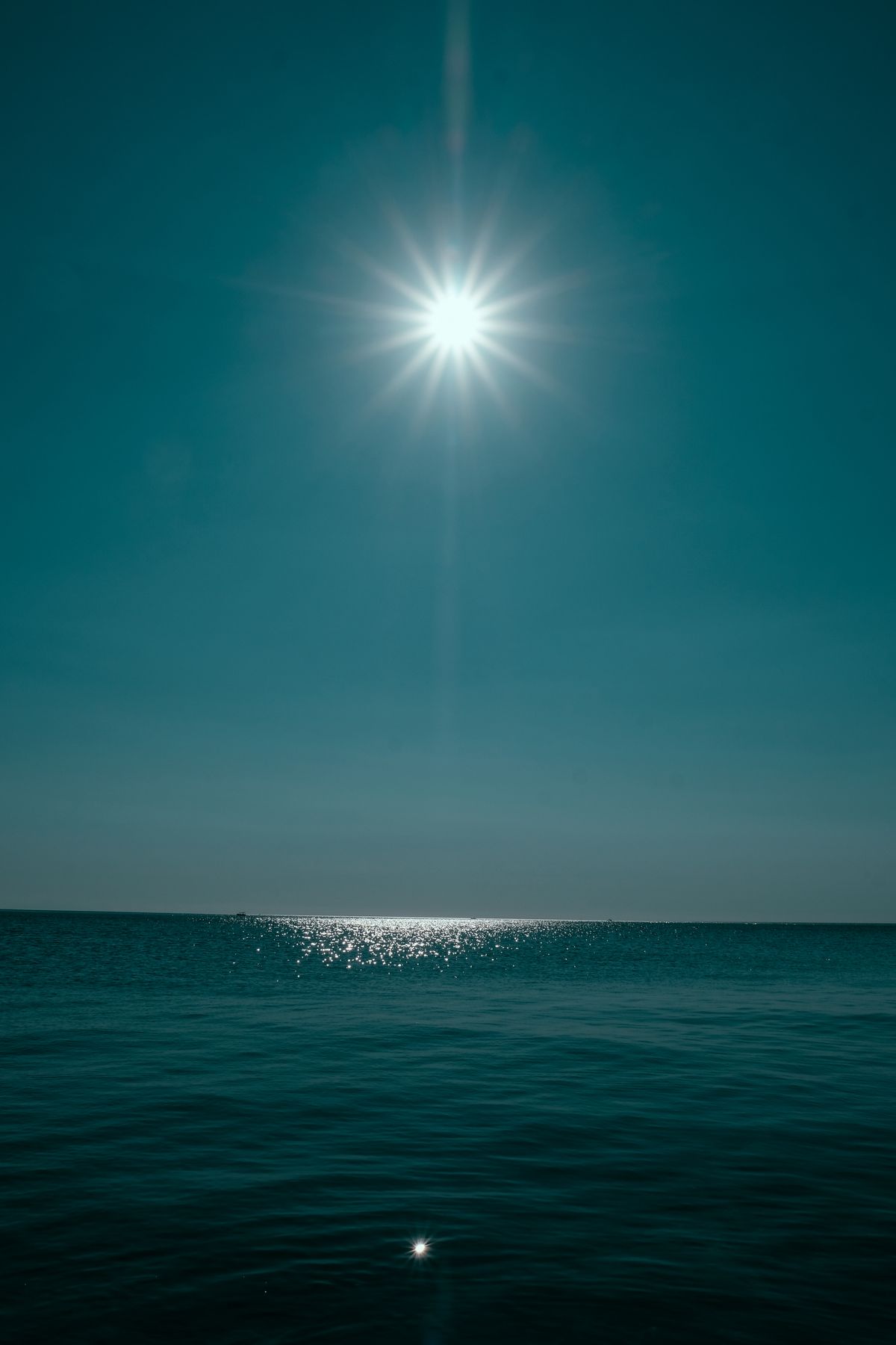 July Photos, Download The BEST Free July Stock Photos & HD Images