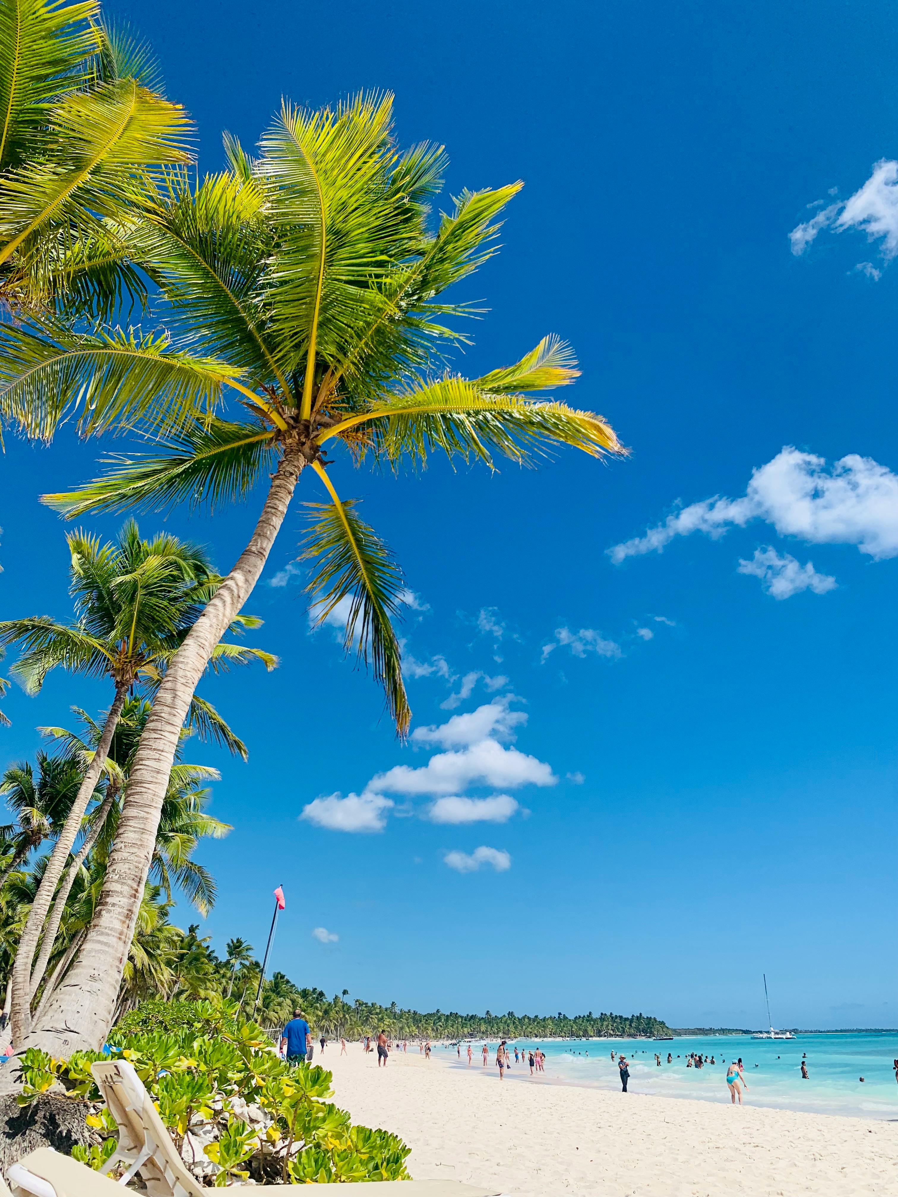 Foto profissional gratuita de à beira mar, a romana, banhistas, beleza ...