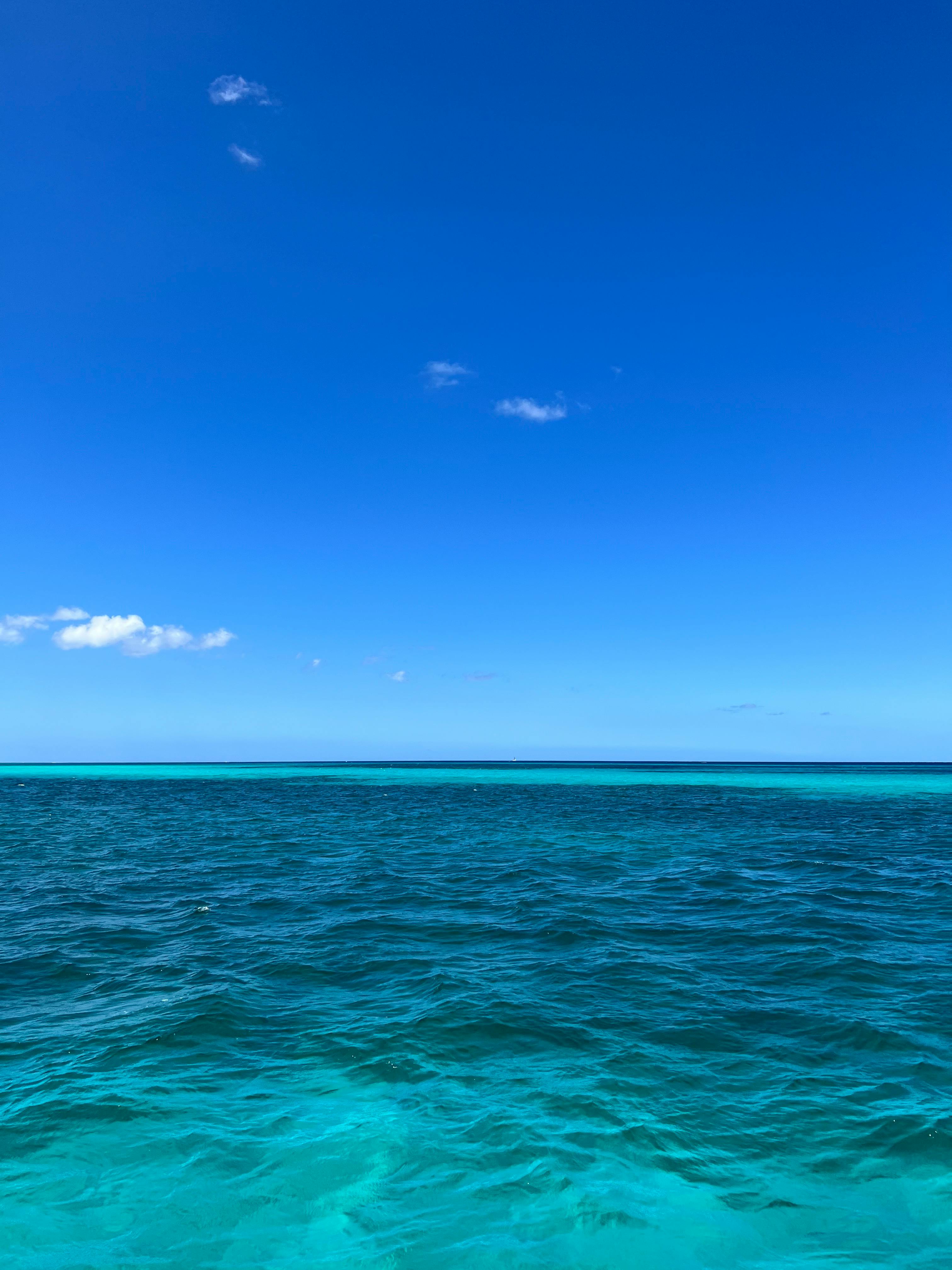 Ocean Under Blue Sky · Free Stock Photo