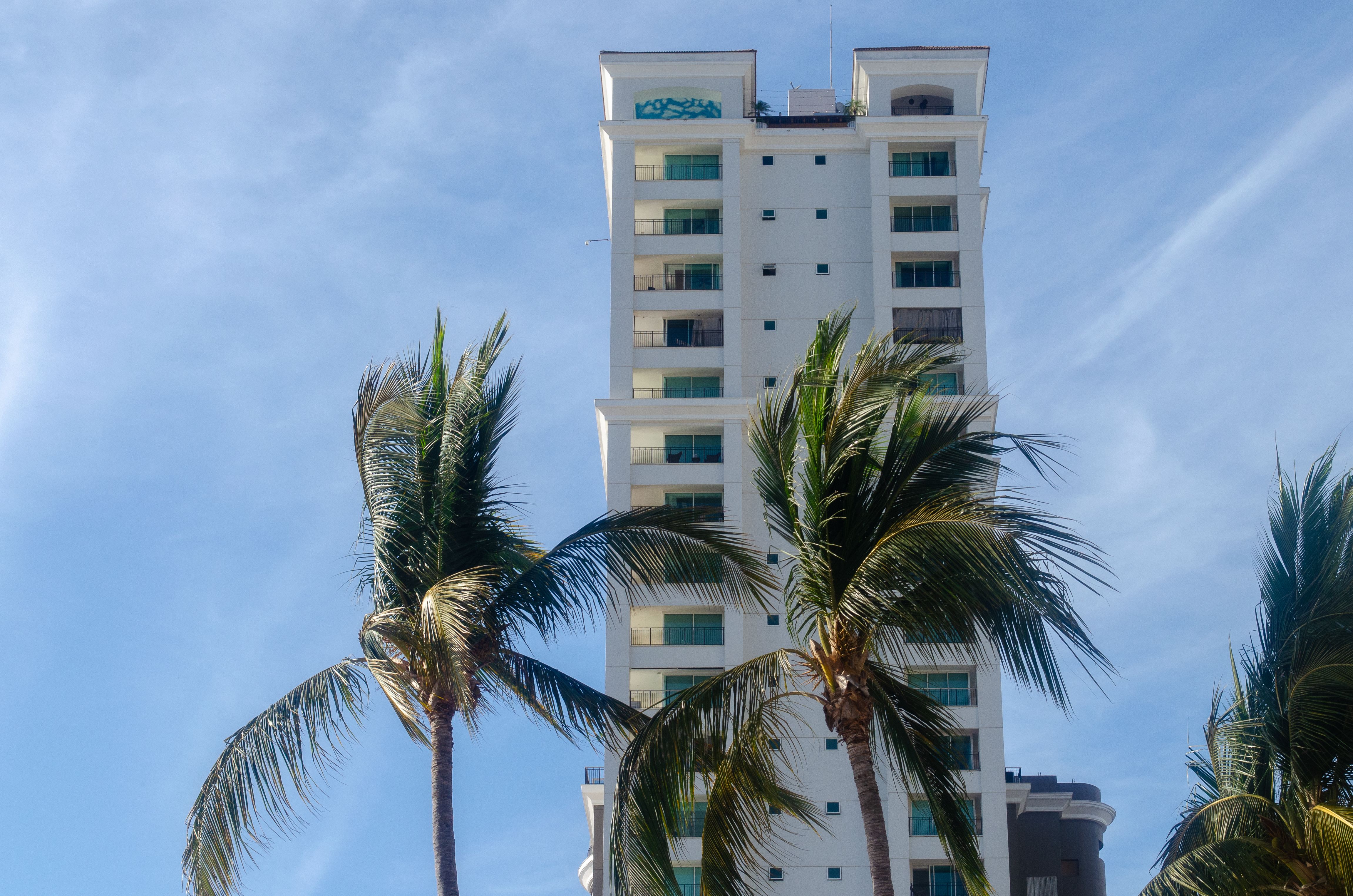 Tall White Hotel Building near Palm Trees · Free Stock Photo