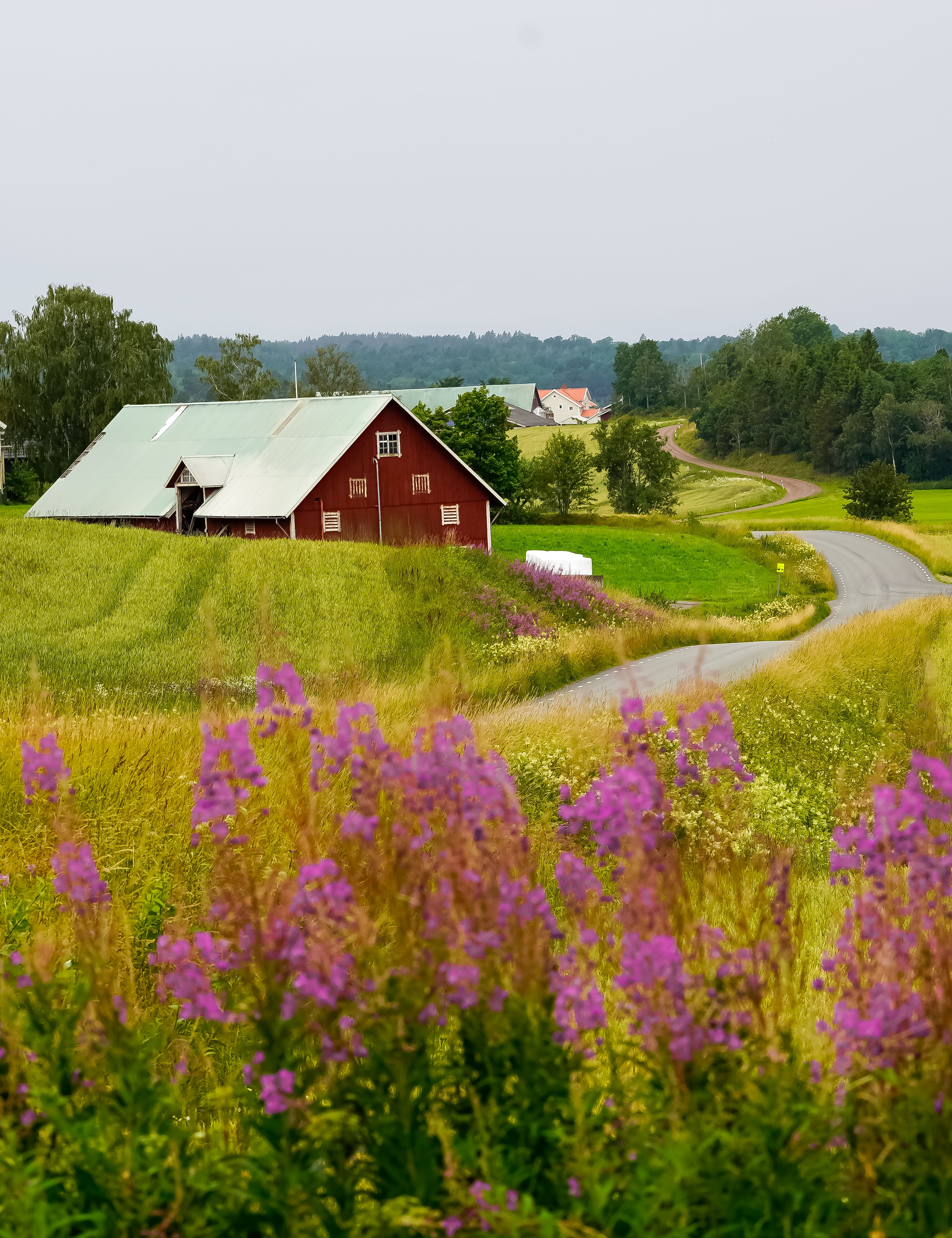 Scenic View of a Rural Landscape with a Farmhouse and a Winding Road ...