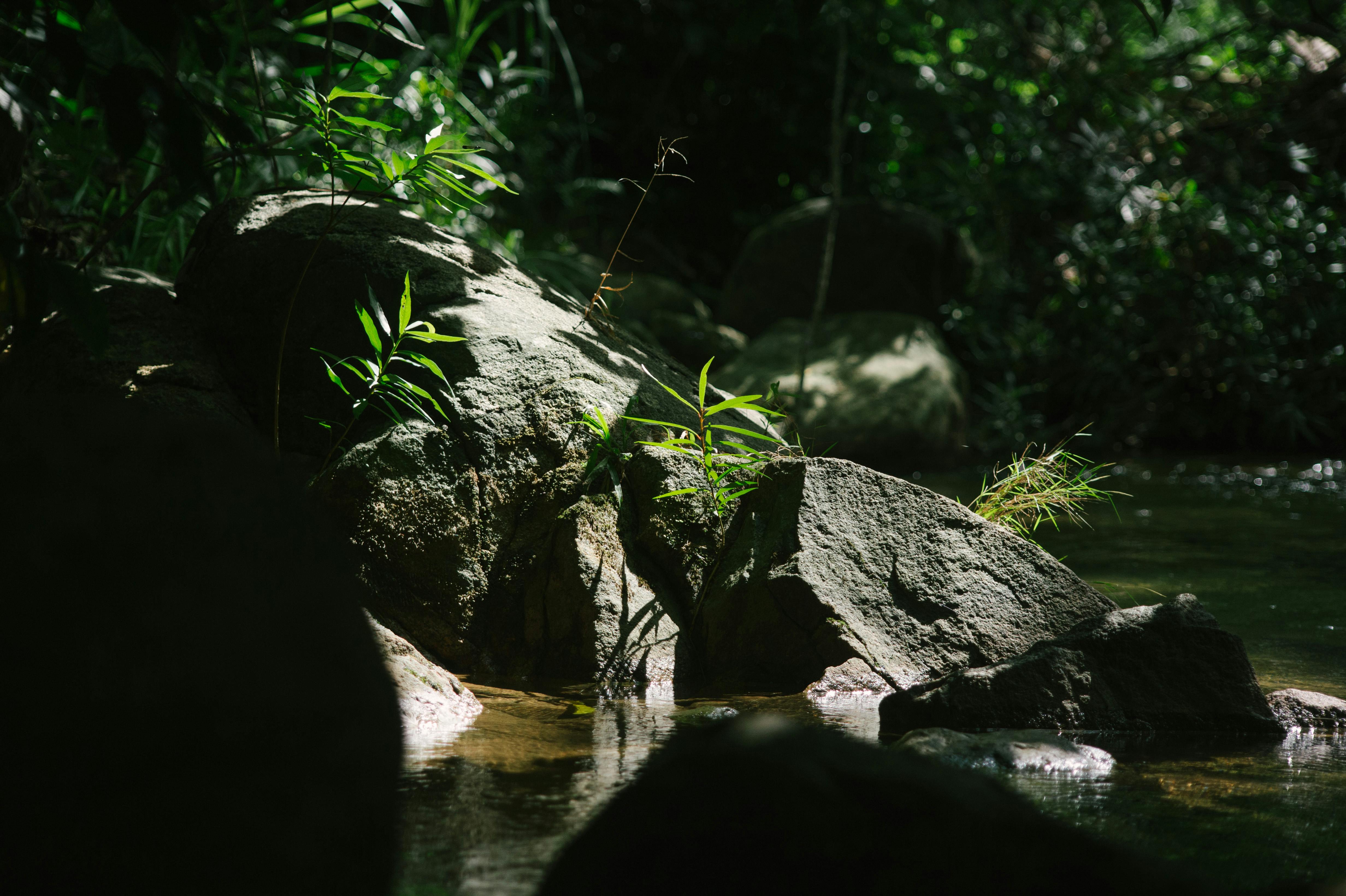 Rocks in Sunlight and Shadow · Free Stock Photo