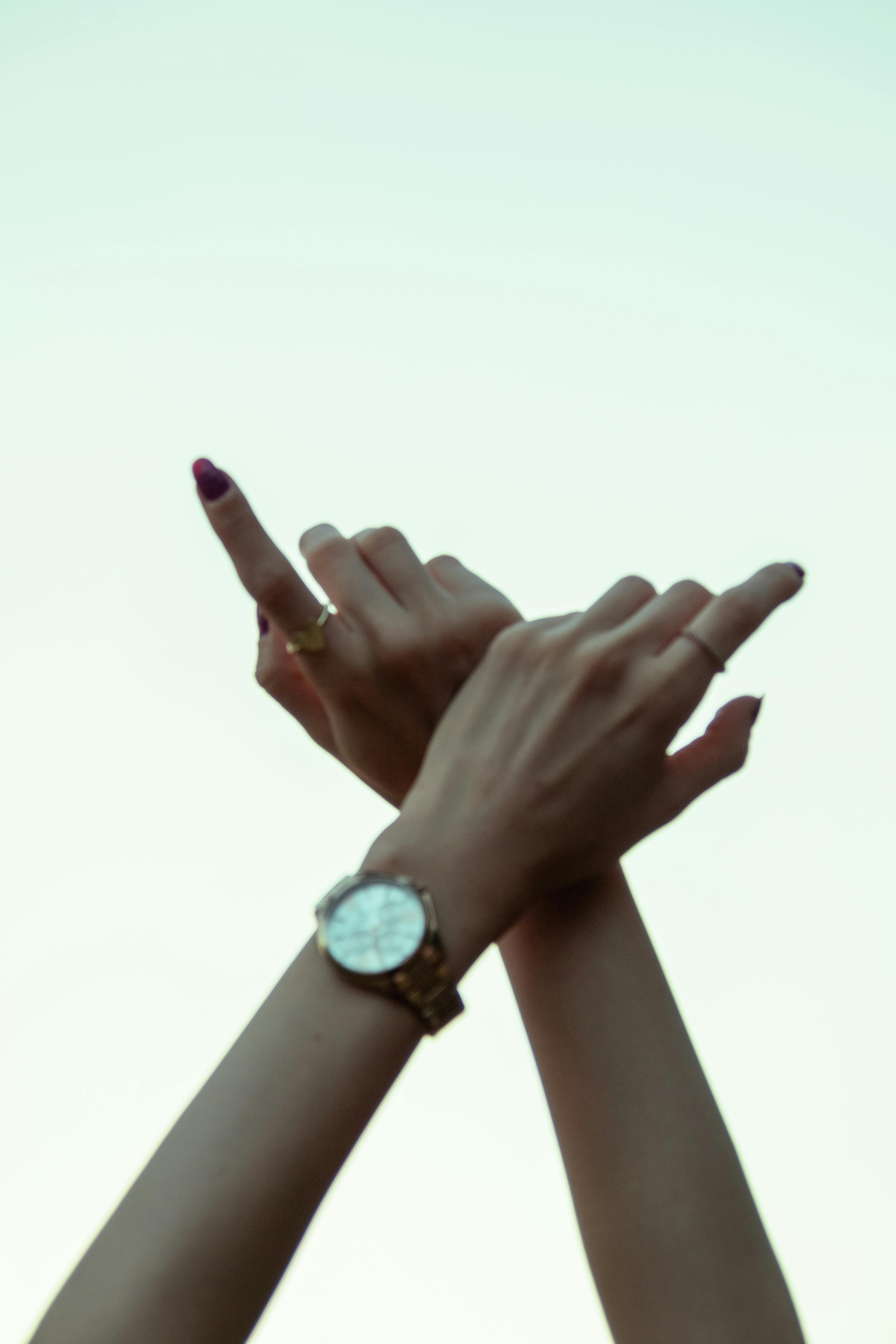 Human Clasp Hands · Free Stock Photo