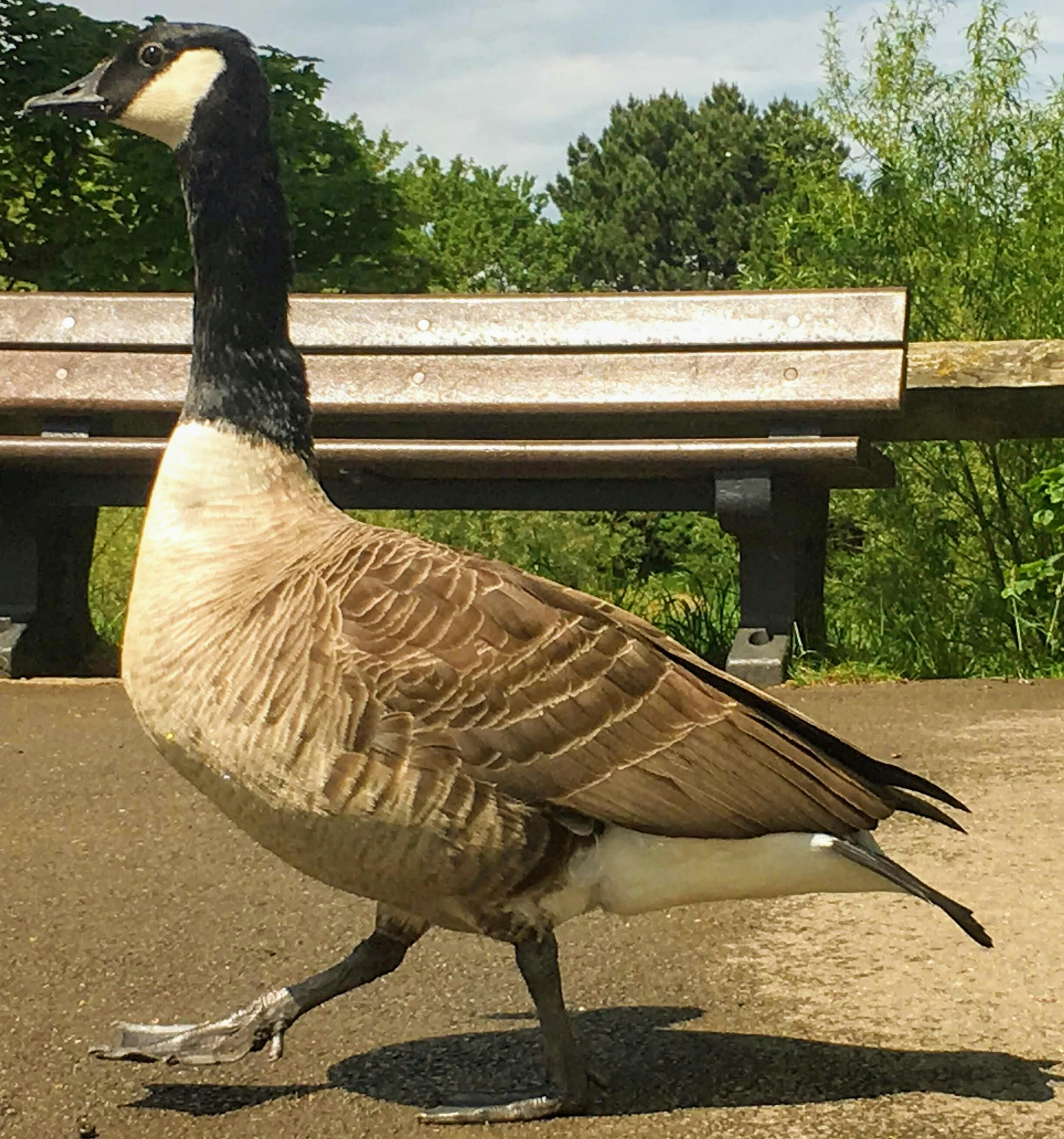 Display photography 7 Photos & Videos Collected by Richard Hewitson