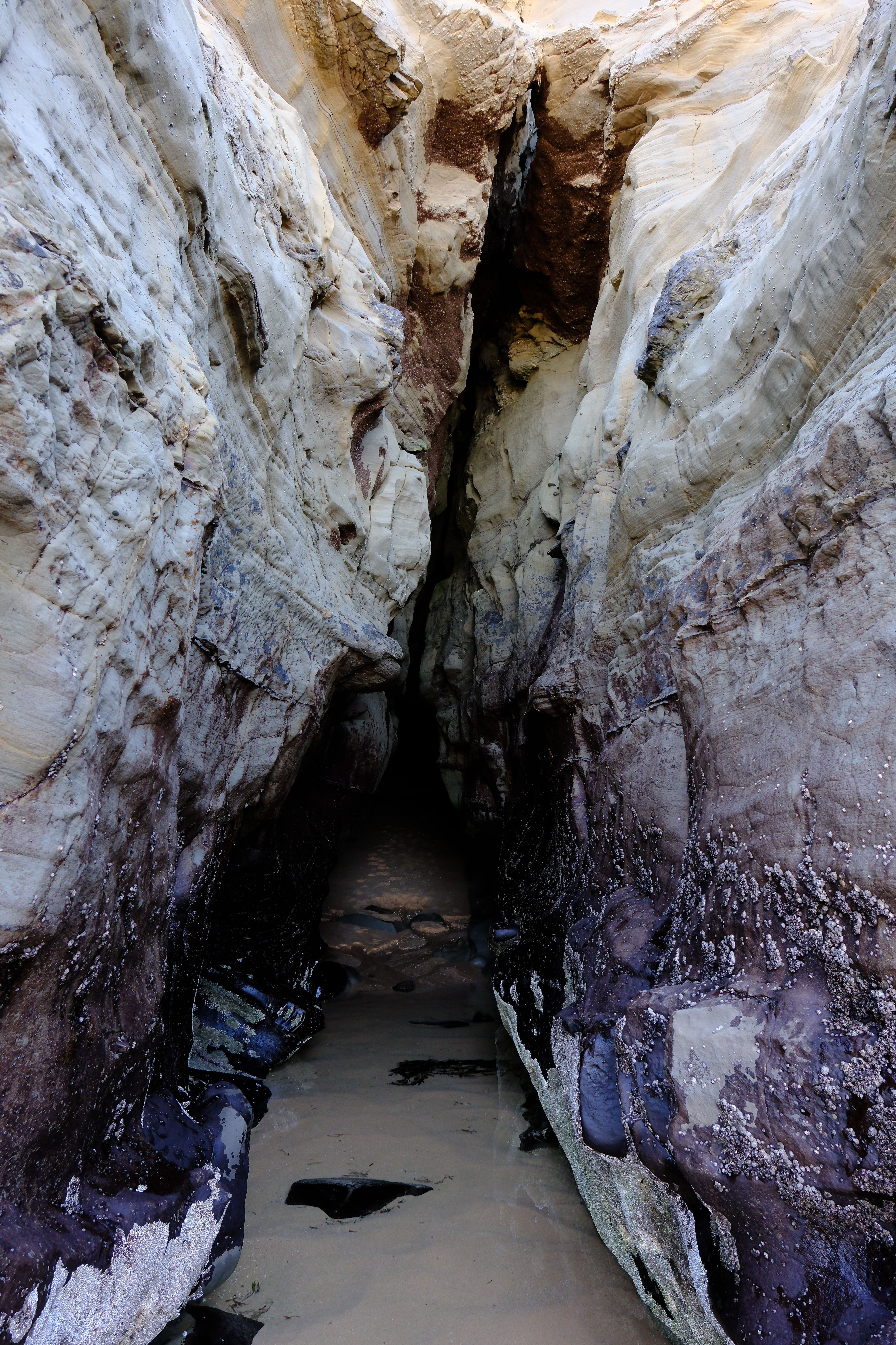 Entrance to a Cave · Free Stock Photo