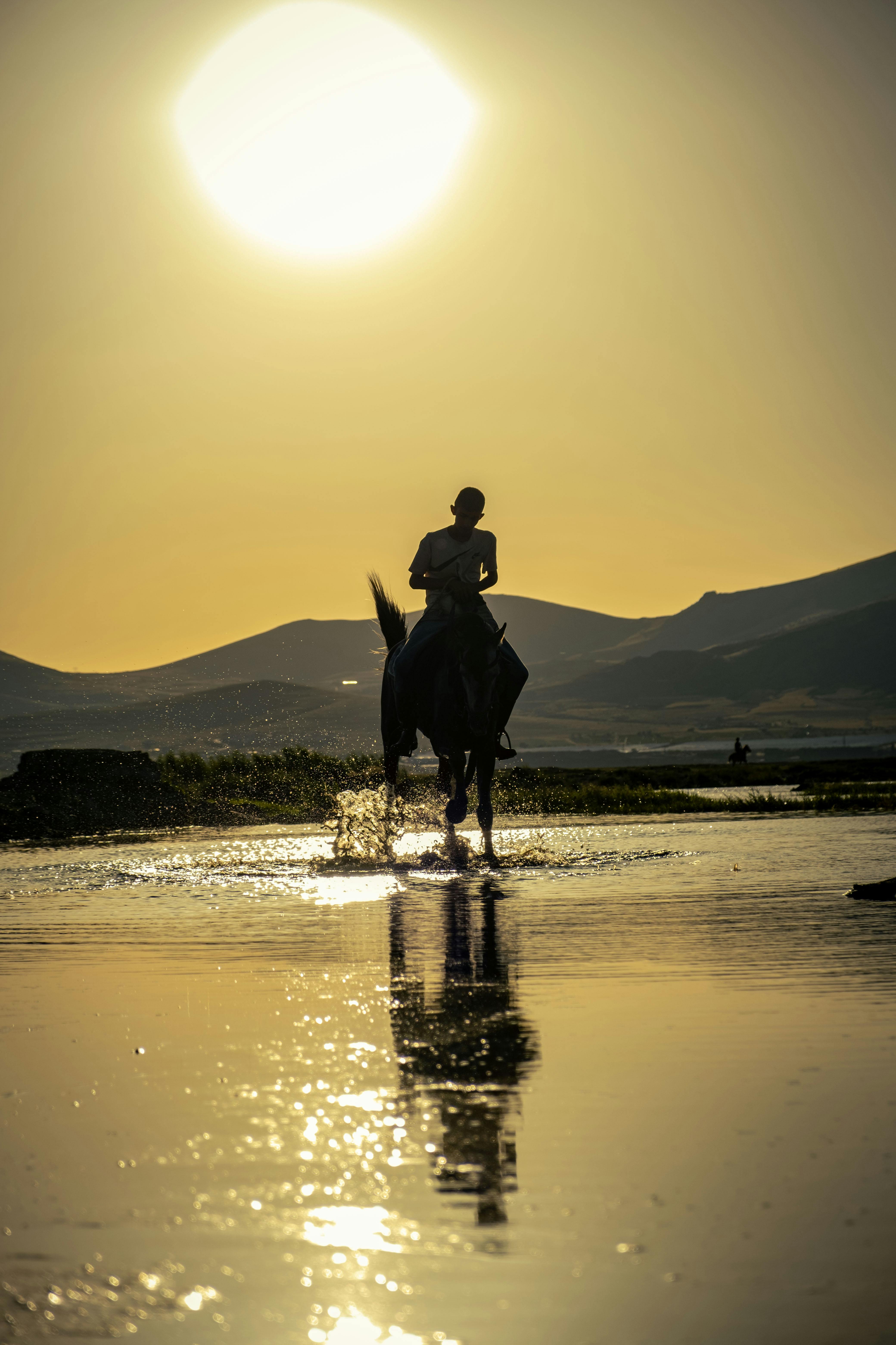 Silhouette of Person Riding a Horse · Free Stock Photo