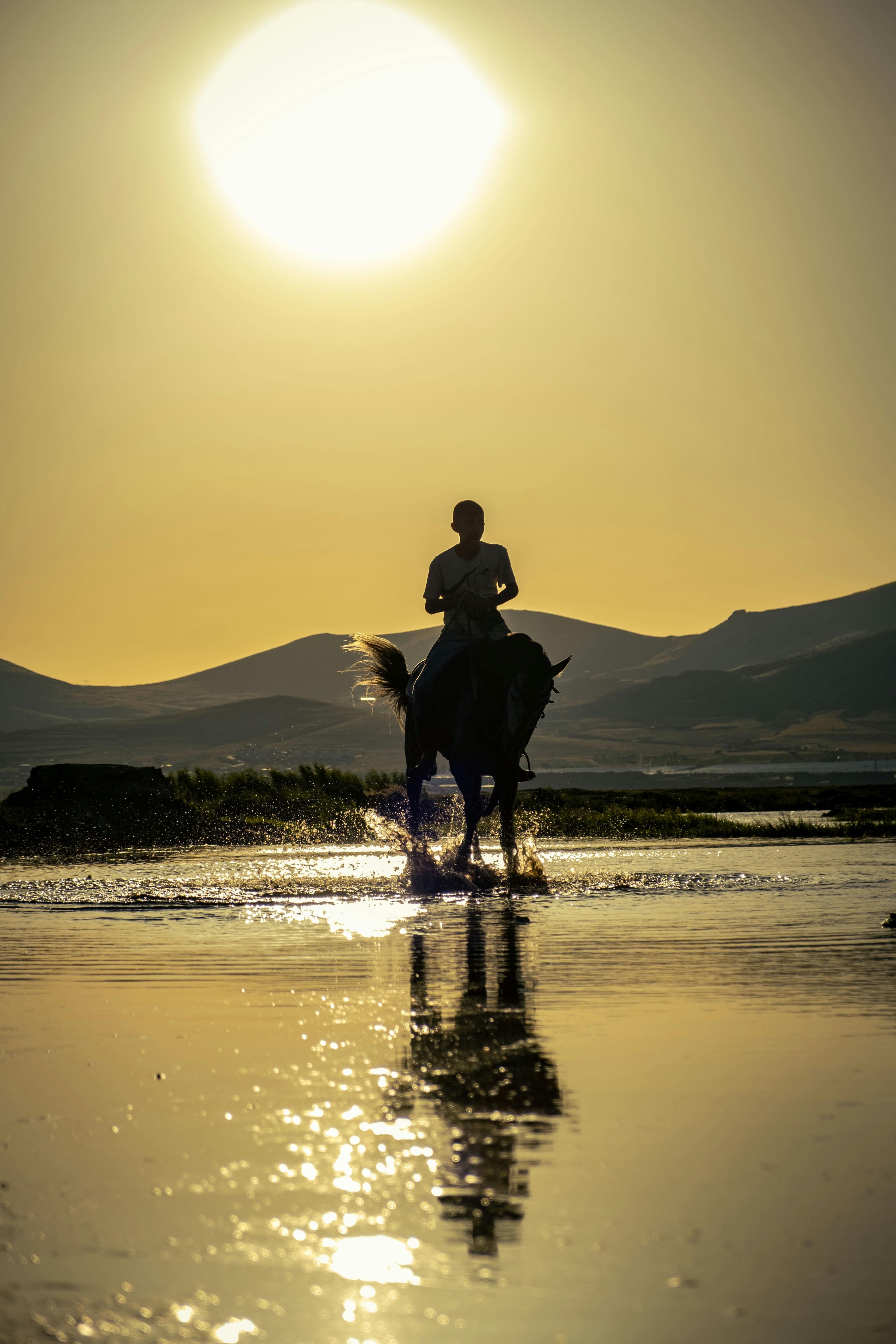 A person riding a horse through the water at sunset · Free Stock Photo