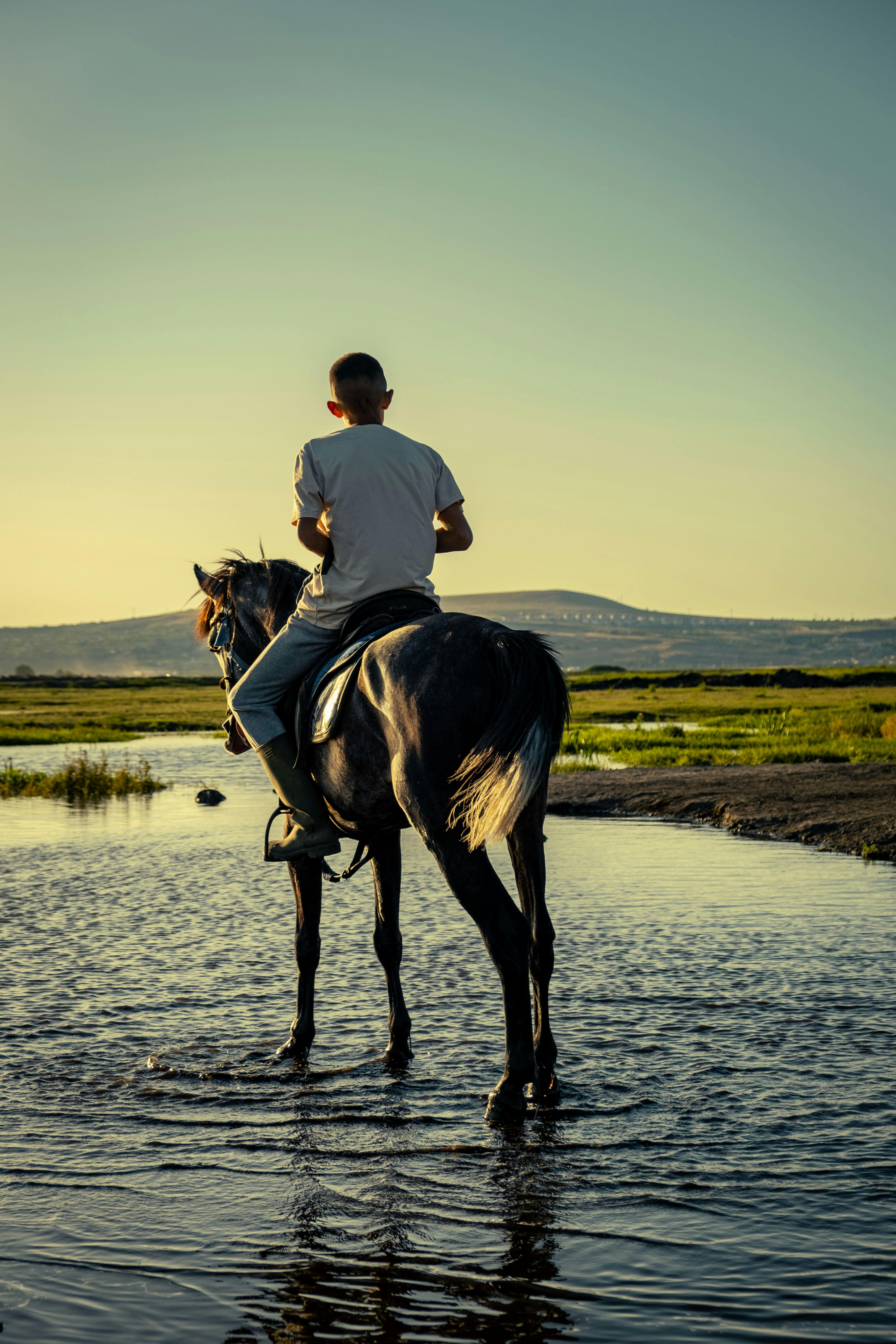 Photo gratuite de à cru, adulte, animal, aventure, aventure en plein ...