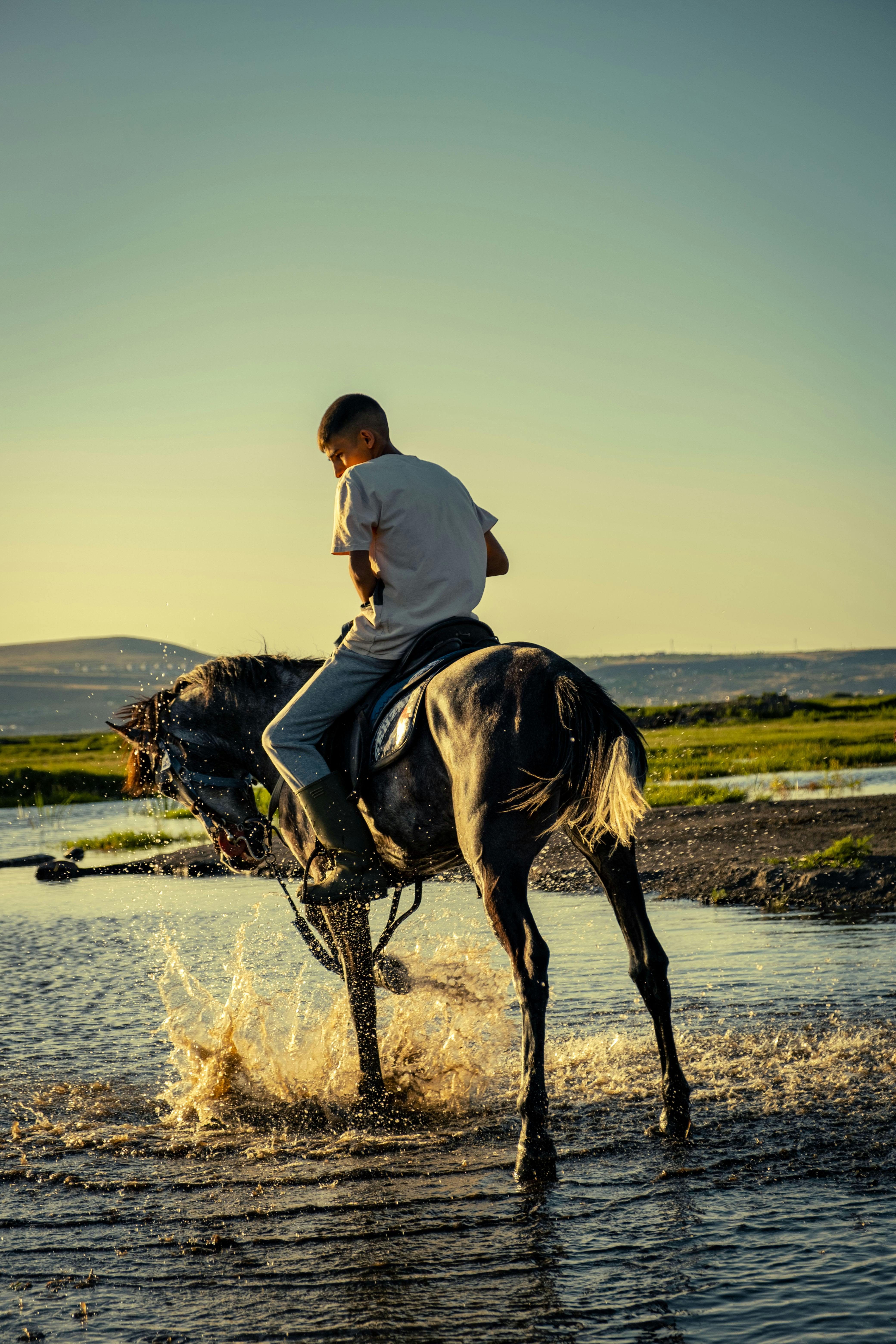 Teenage Boy Riding a Horse on a Lakeshore · Free Stock Photo