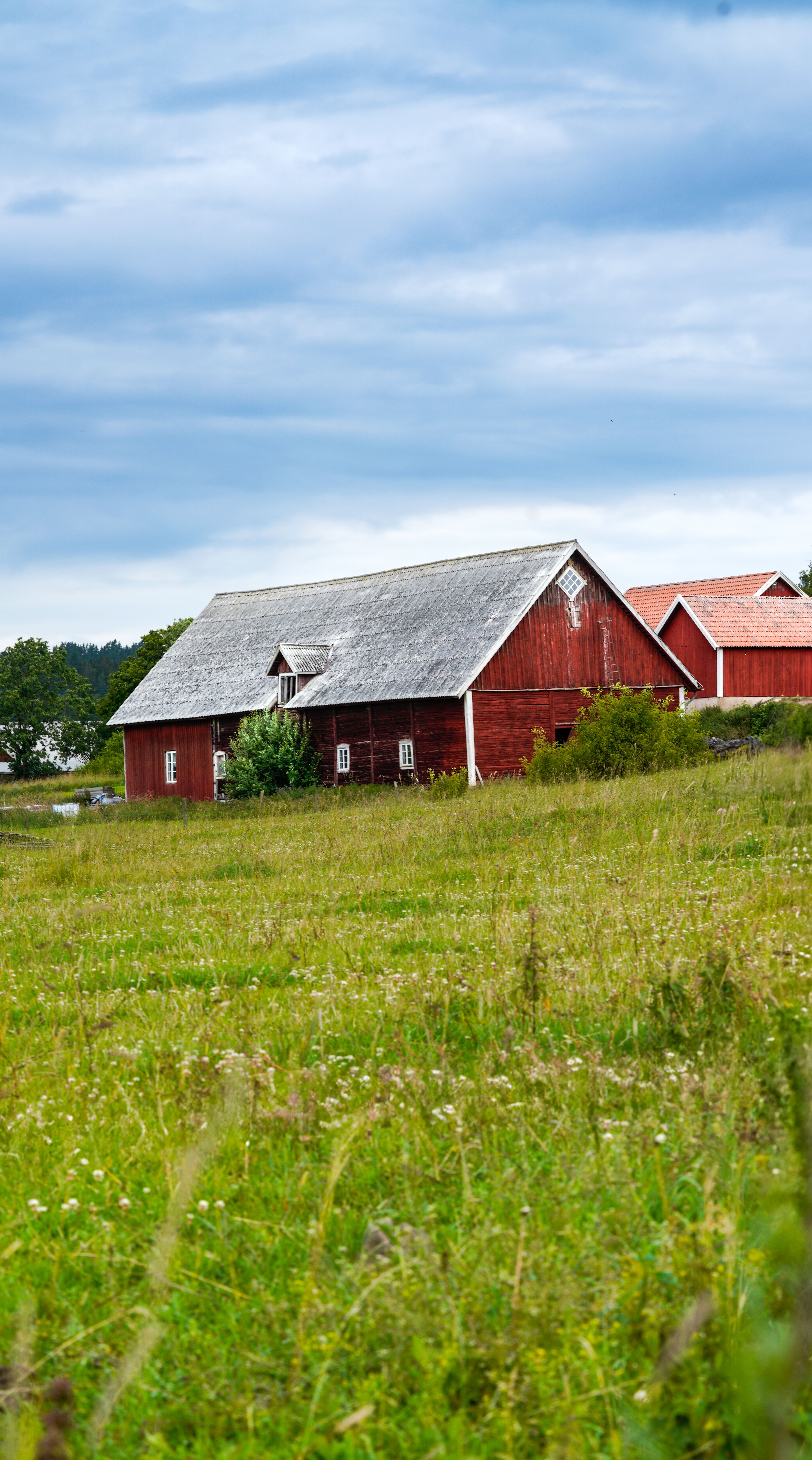 Barn at Farm in Countryside · Free Stock Photo