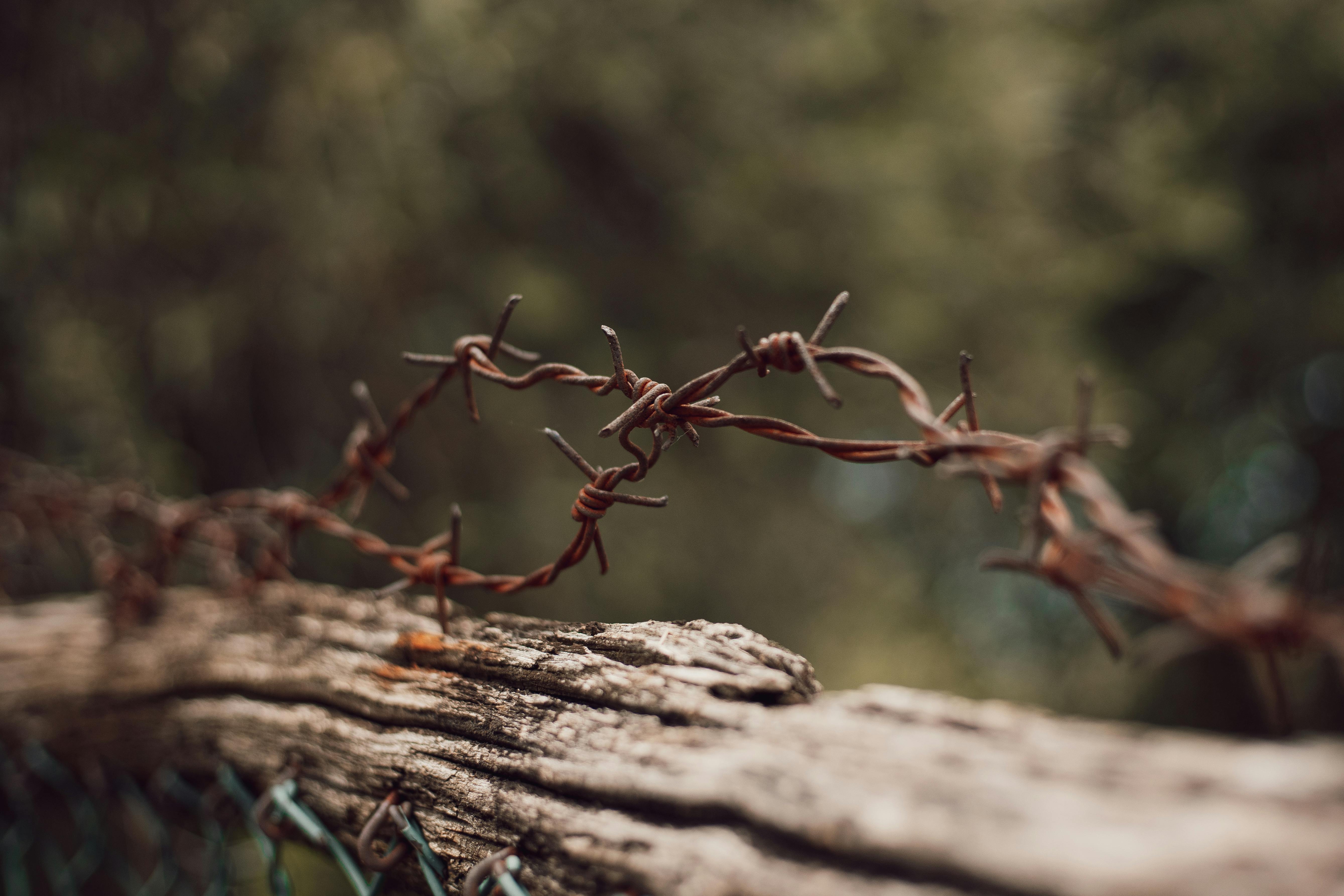 Close-up of Wire Against Blurred Background · Free Stock Photo