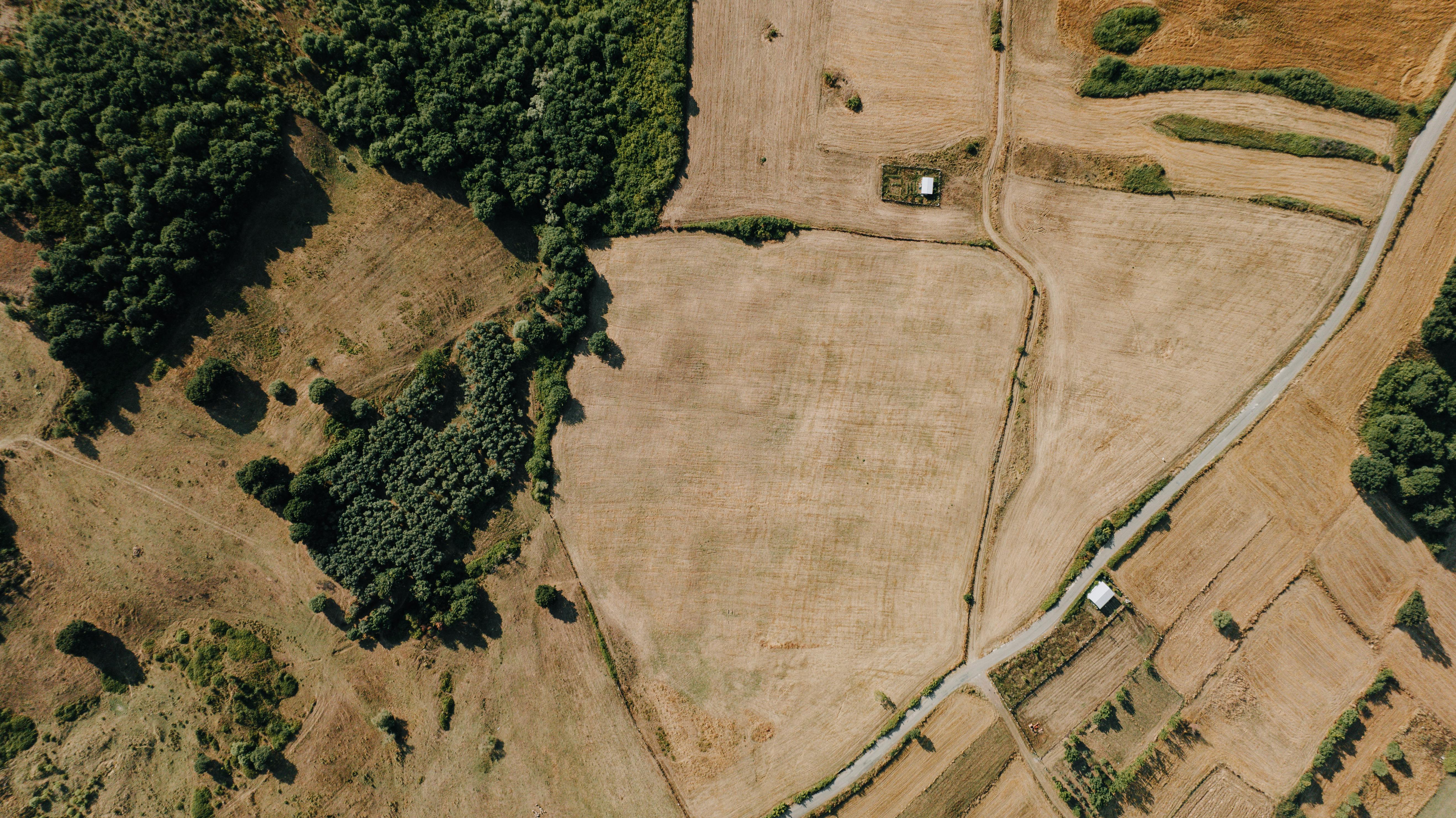 Ücretsiz açık hava, alan, arazi, arazi bölümü, arsa, asya, bereketli ...