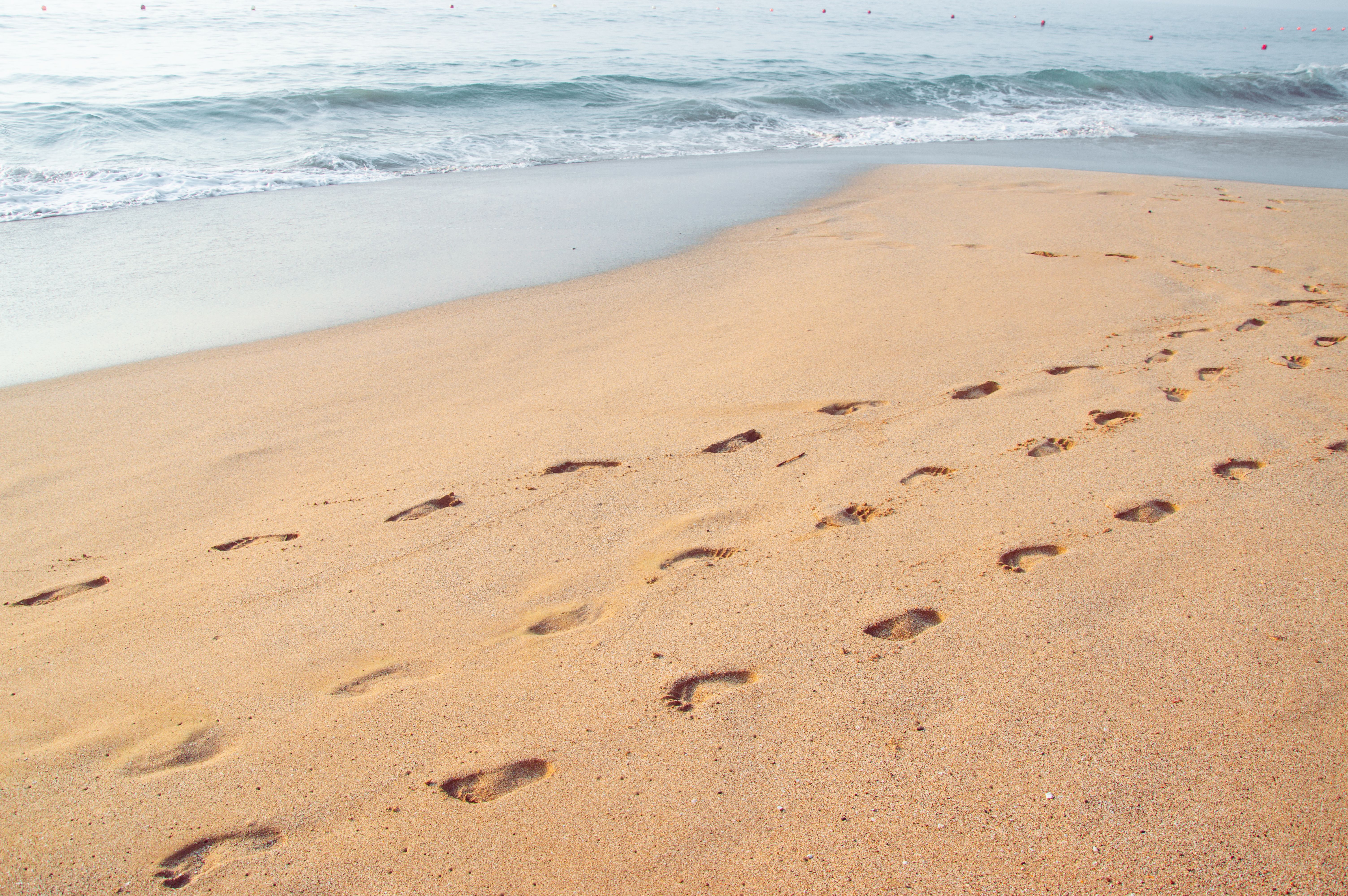 Footprints in the sand on a beach · Free Stock Photo