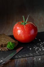 Selective Focus Photos, Download The BEST Free Selective Focus Stock ...