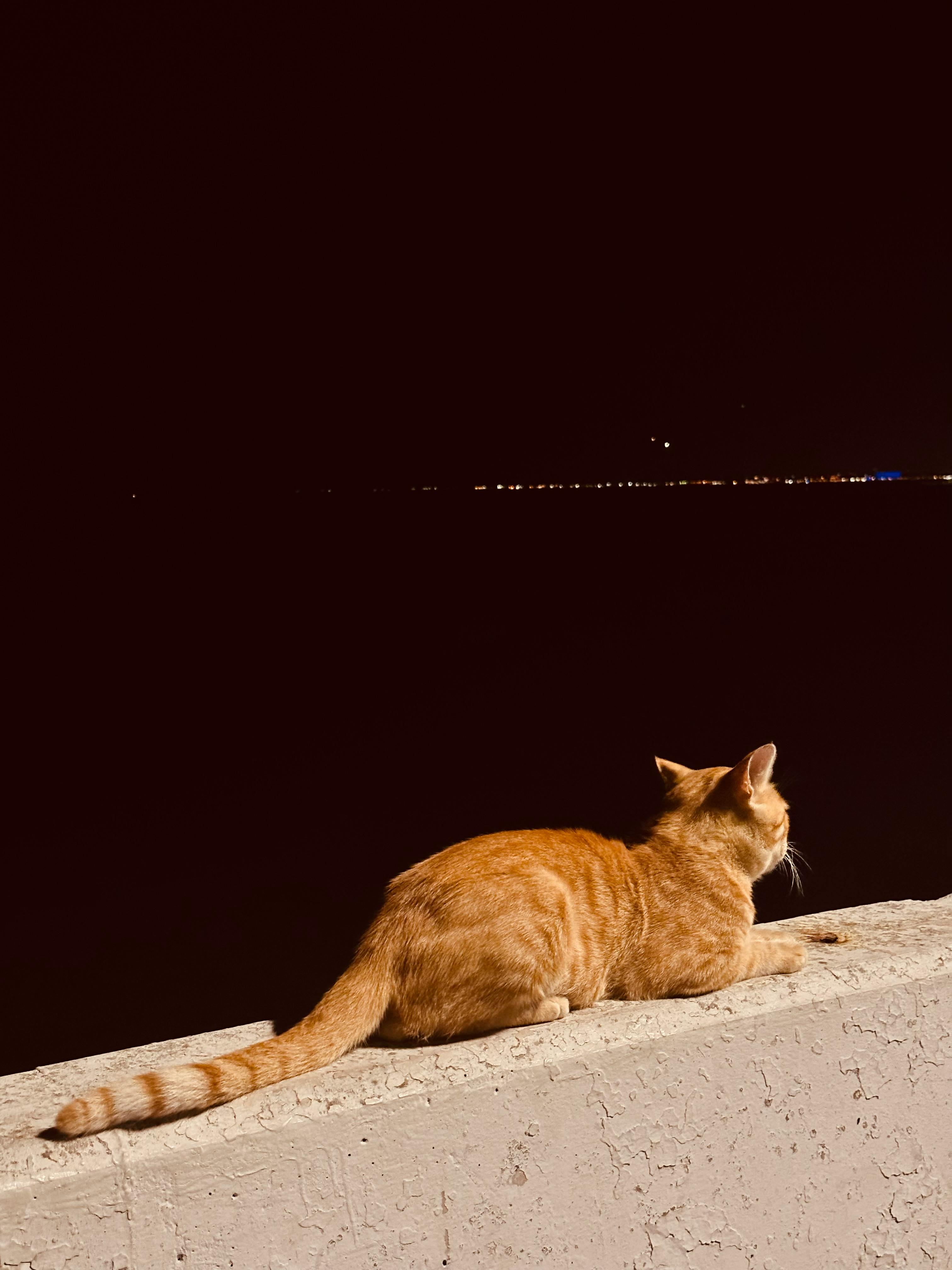 Hafize Balcı - Photography