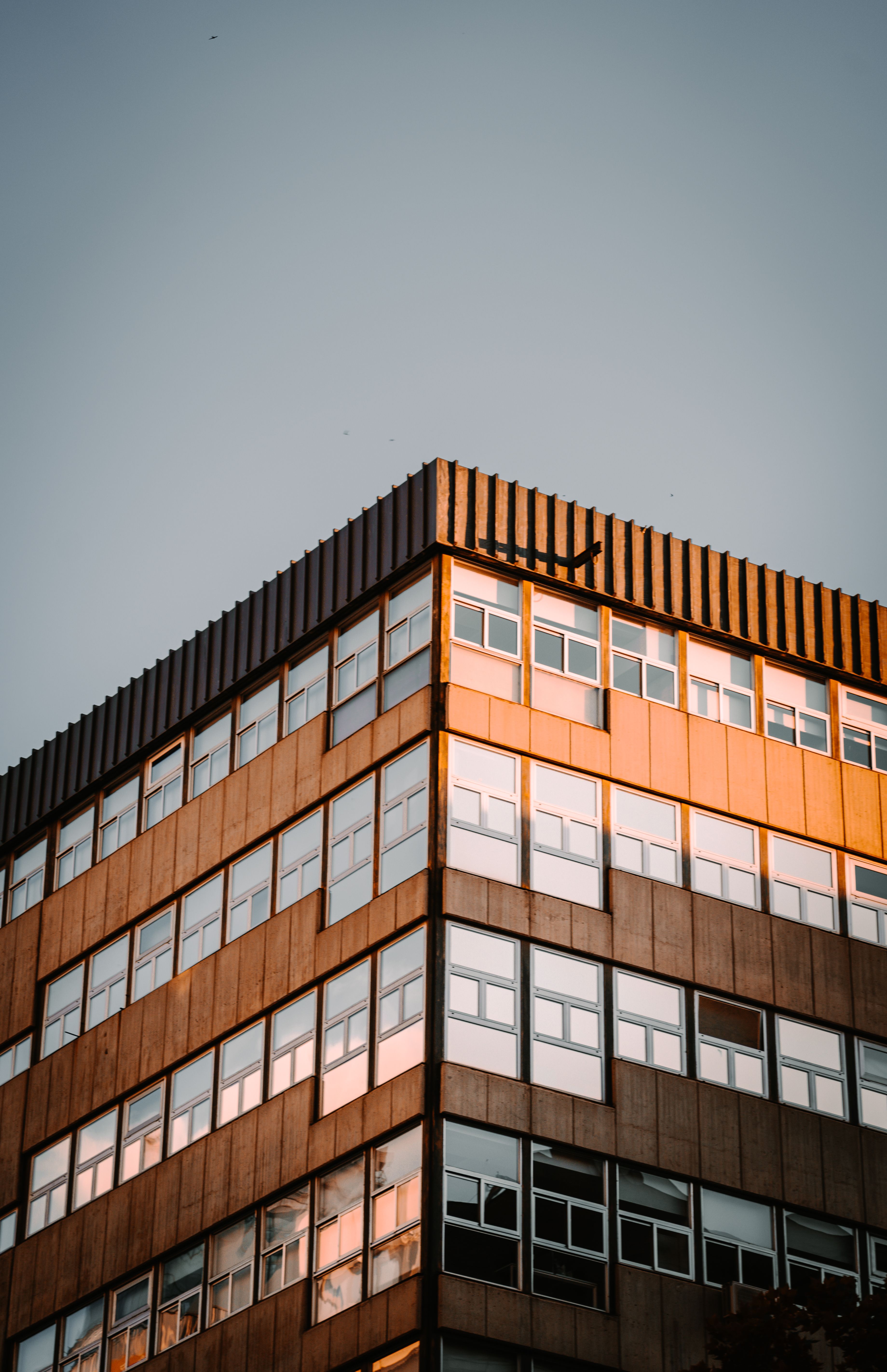Corner of Office Building · Free Stock Photo