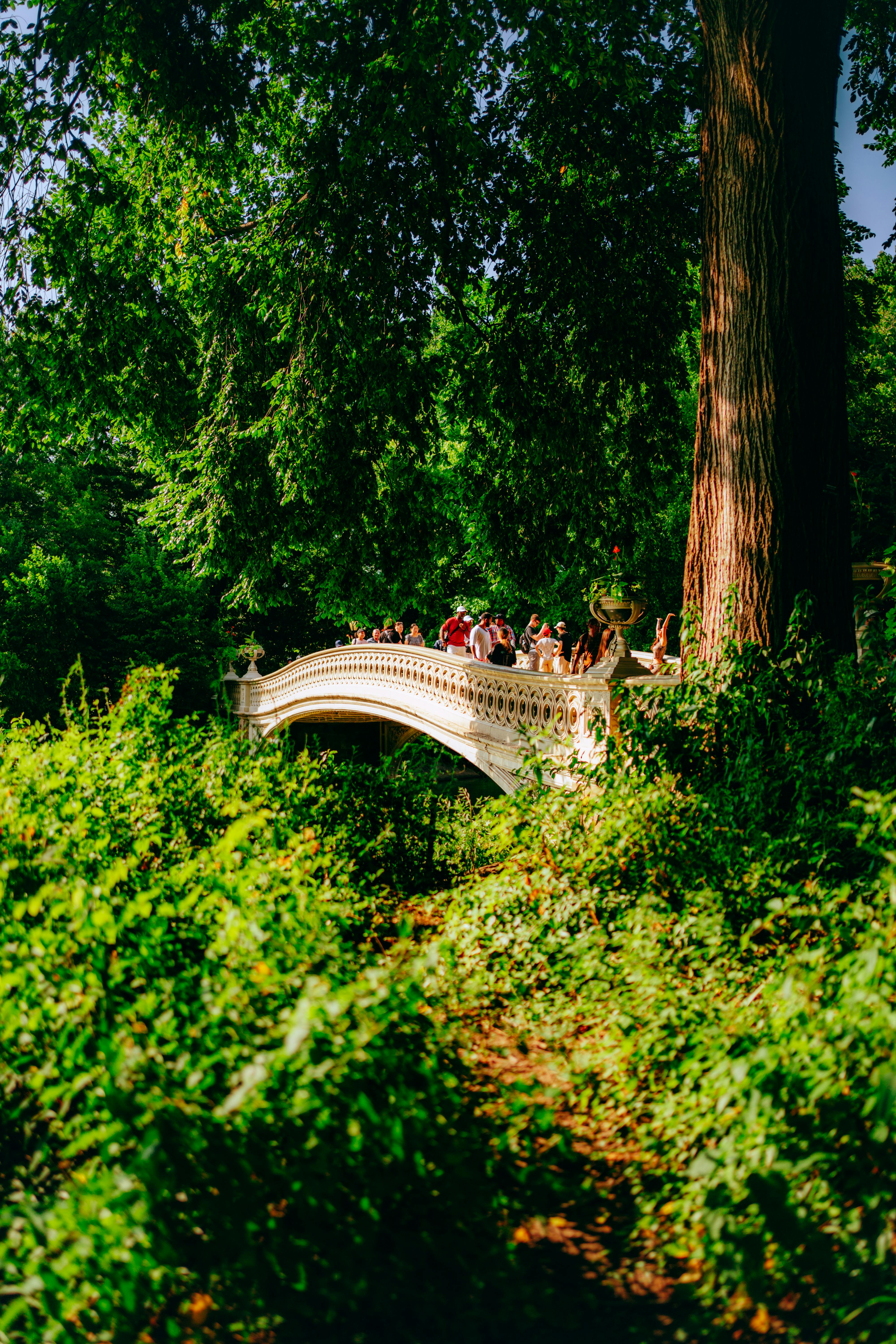 Aerial Photography of People Crossing Bridge over Body of Water · Free ...