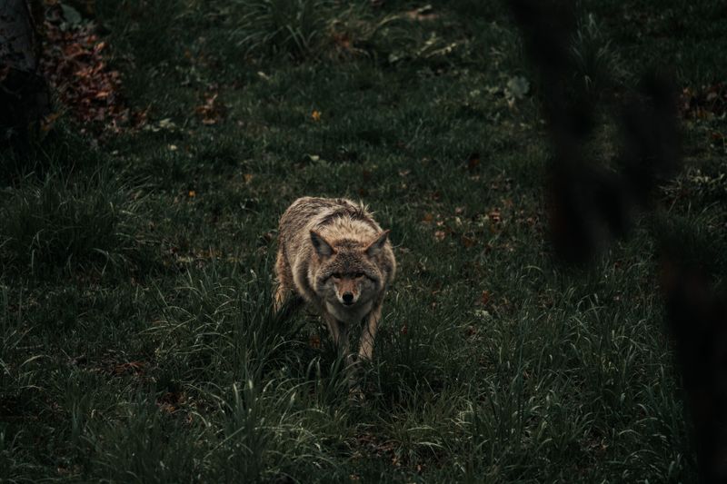 Sneaking Photos, Download The BEST Free Sneaking Stock Photos & HD Images