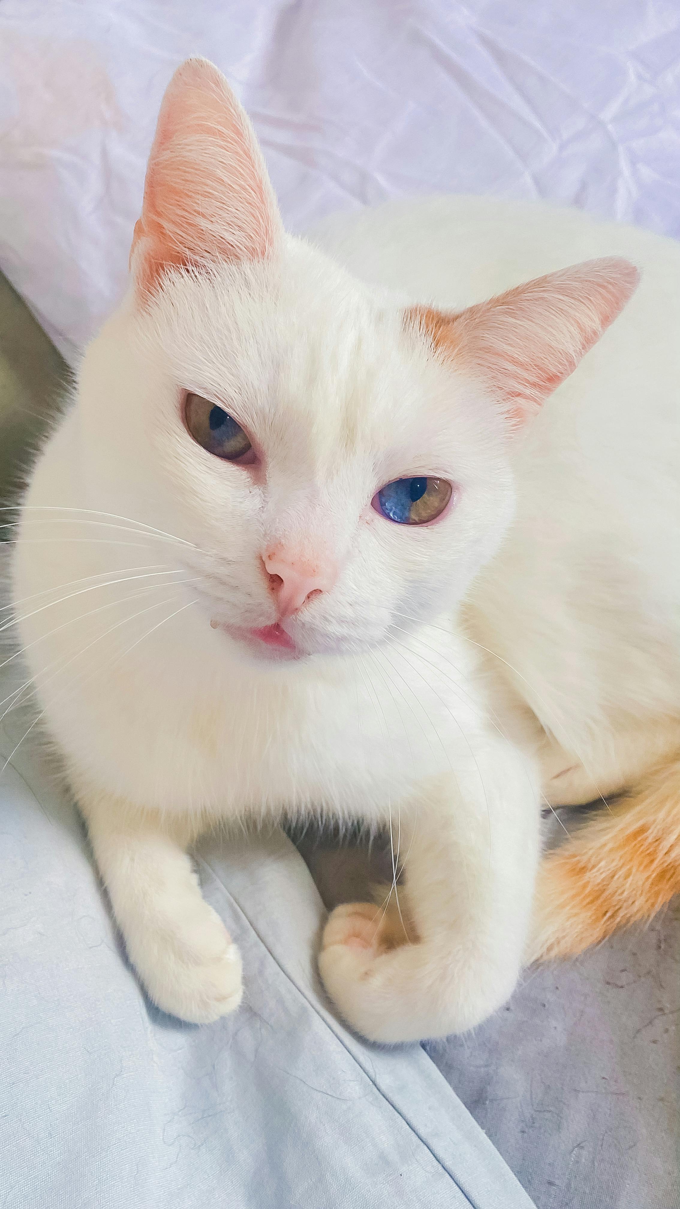 Amanda Valverde - 사진