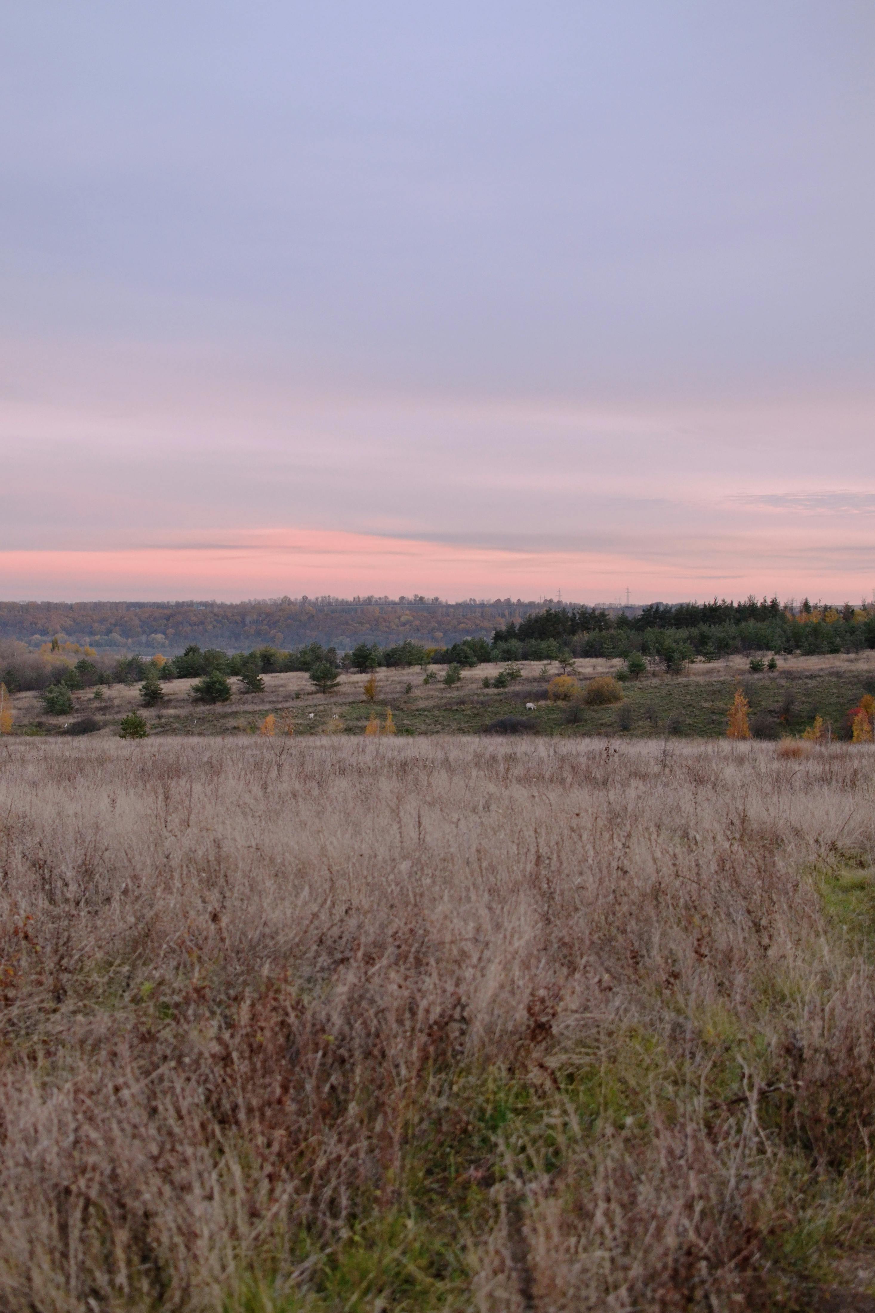 Hills in the Countryside at Dusk · Free Stock Photo