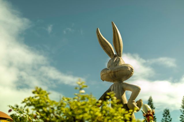 American Blue Rabbit: Traits, Behavior, and Breeding Guide