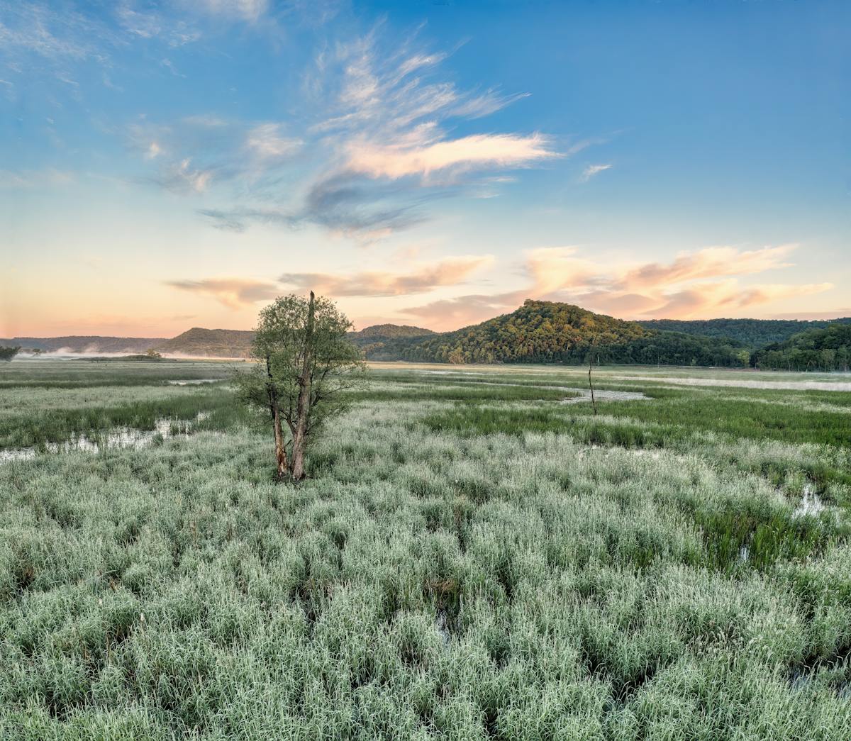 Sunset Over Green Field Of Corn, Iowa, Usa Photos, Download The BEST ...