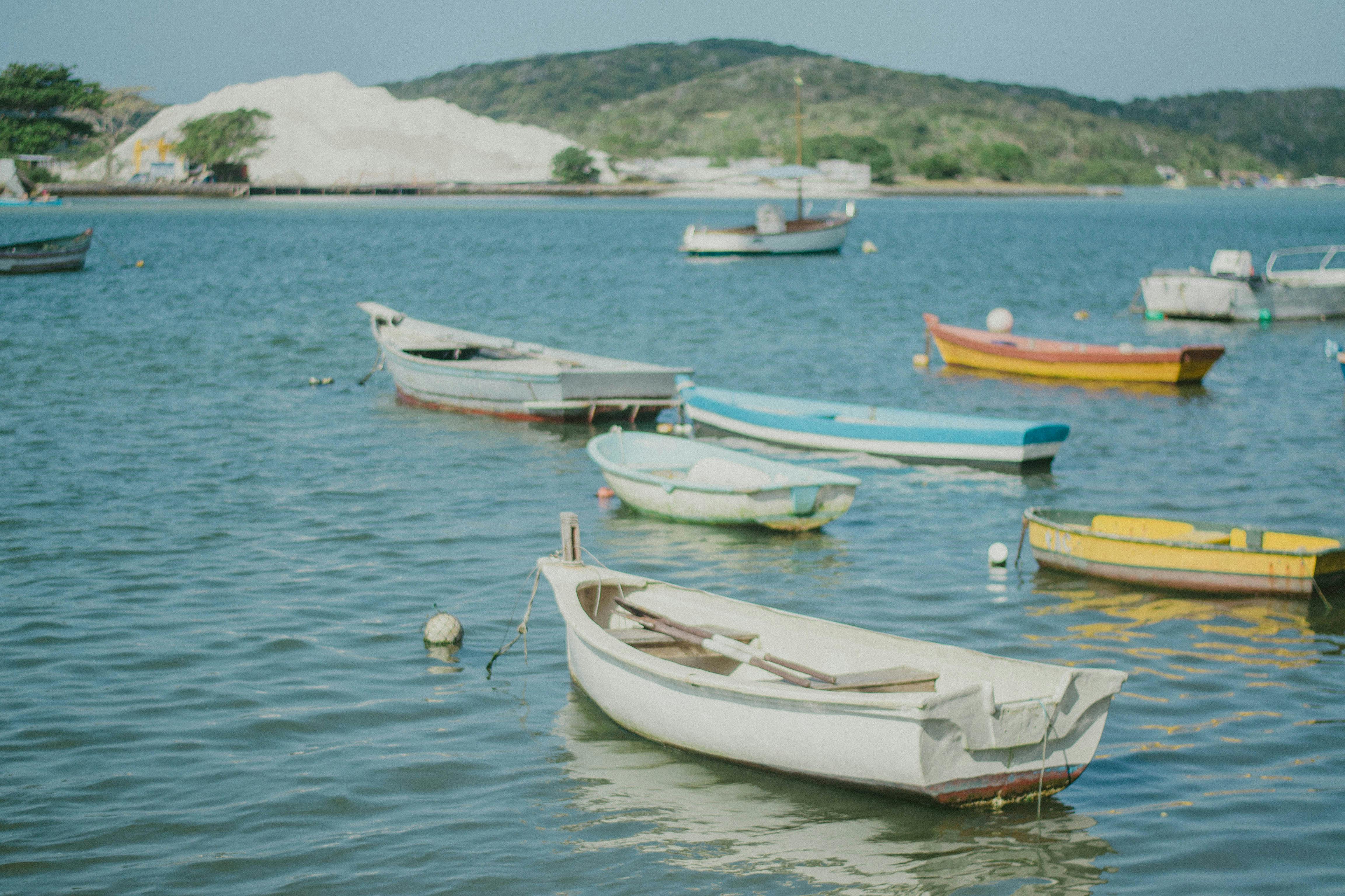 Jpg Photos, Download The BEST Free Jpg Stock Photos & HD Images