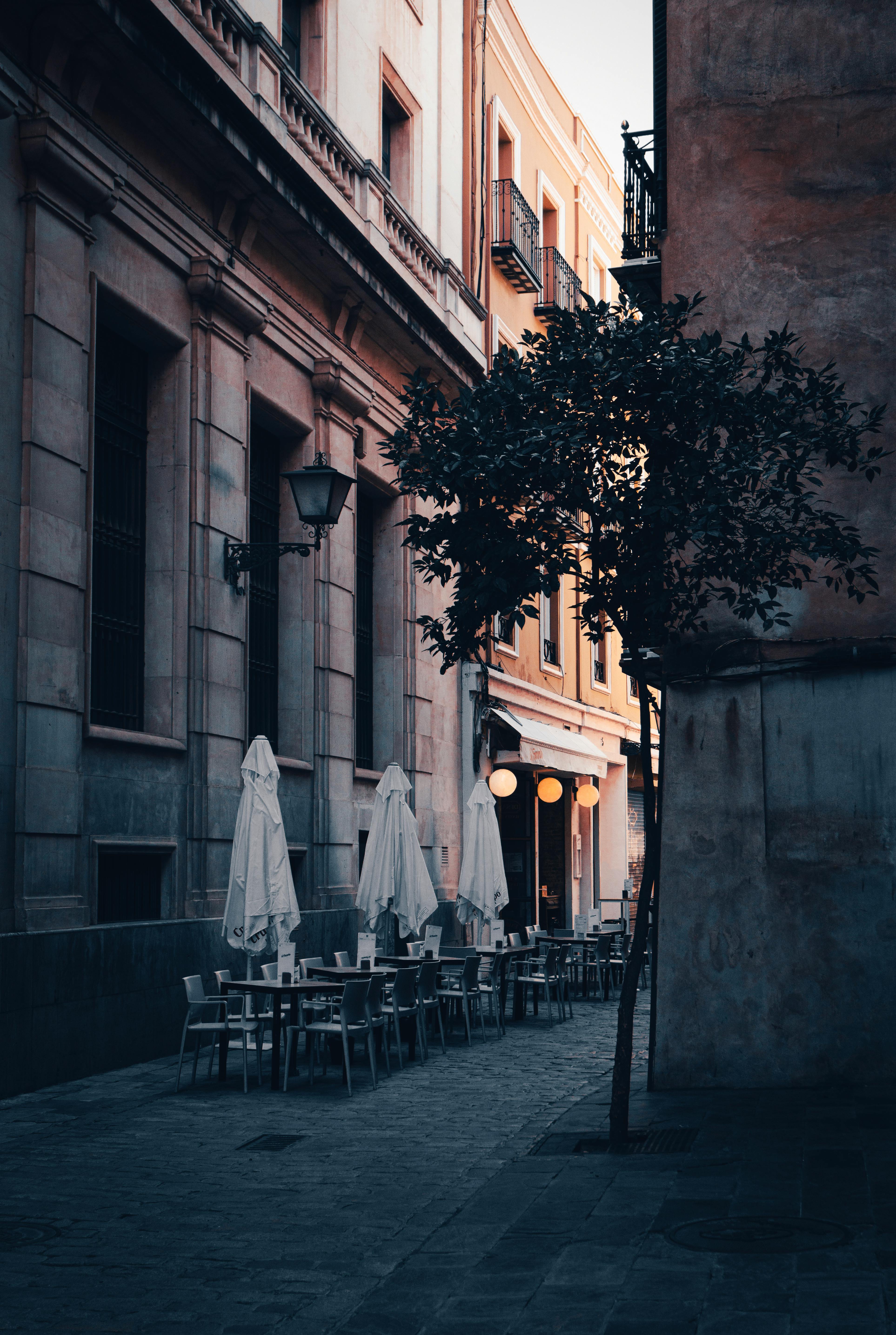 Tree near Buildings in City · Free Stock Photo