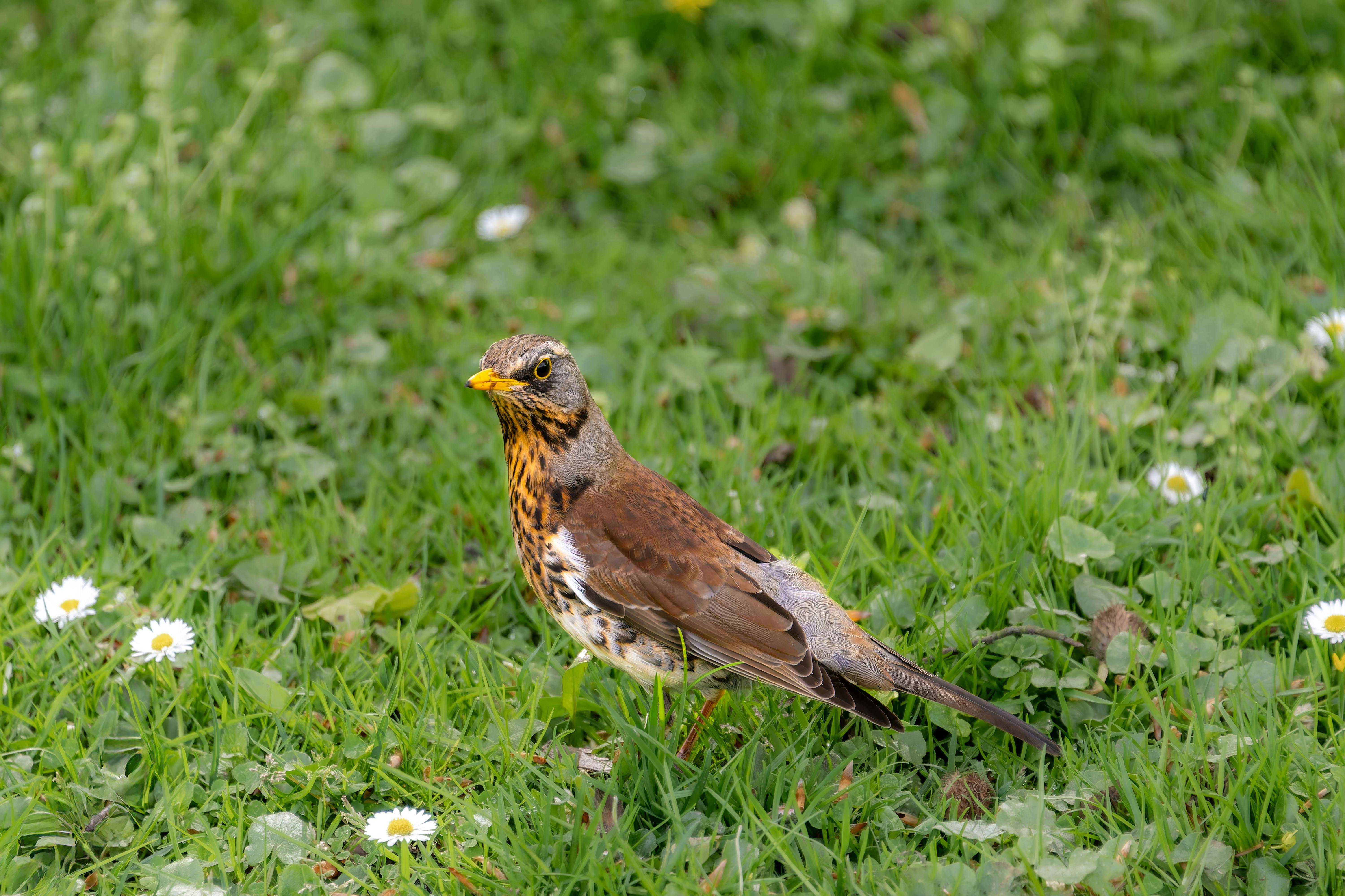 Critically Looped Photos, Download The BEST Free Critically Looped ...