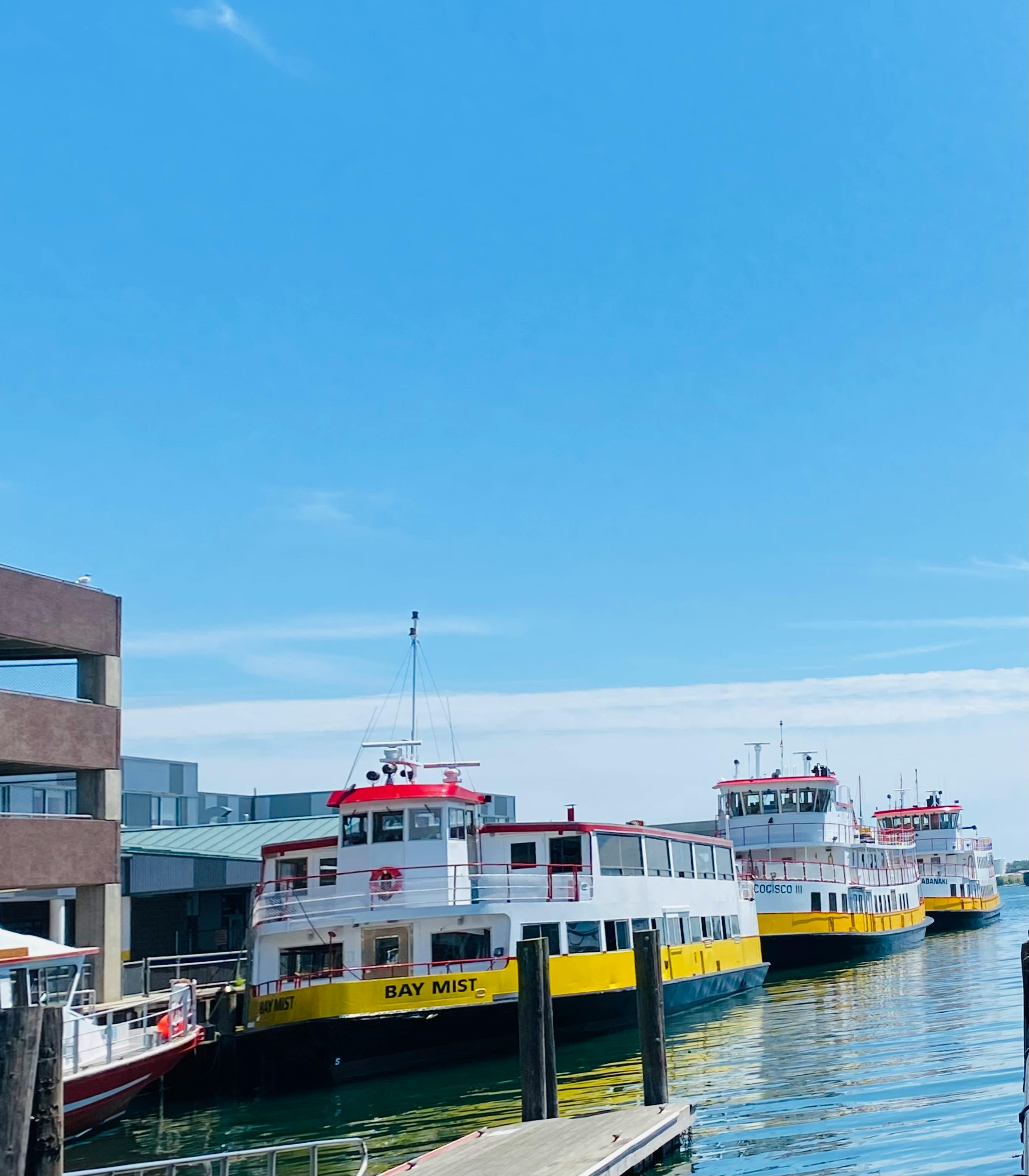 Anat Morad - Photography