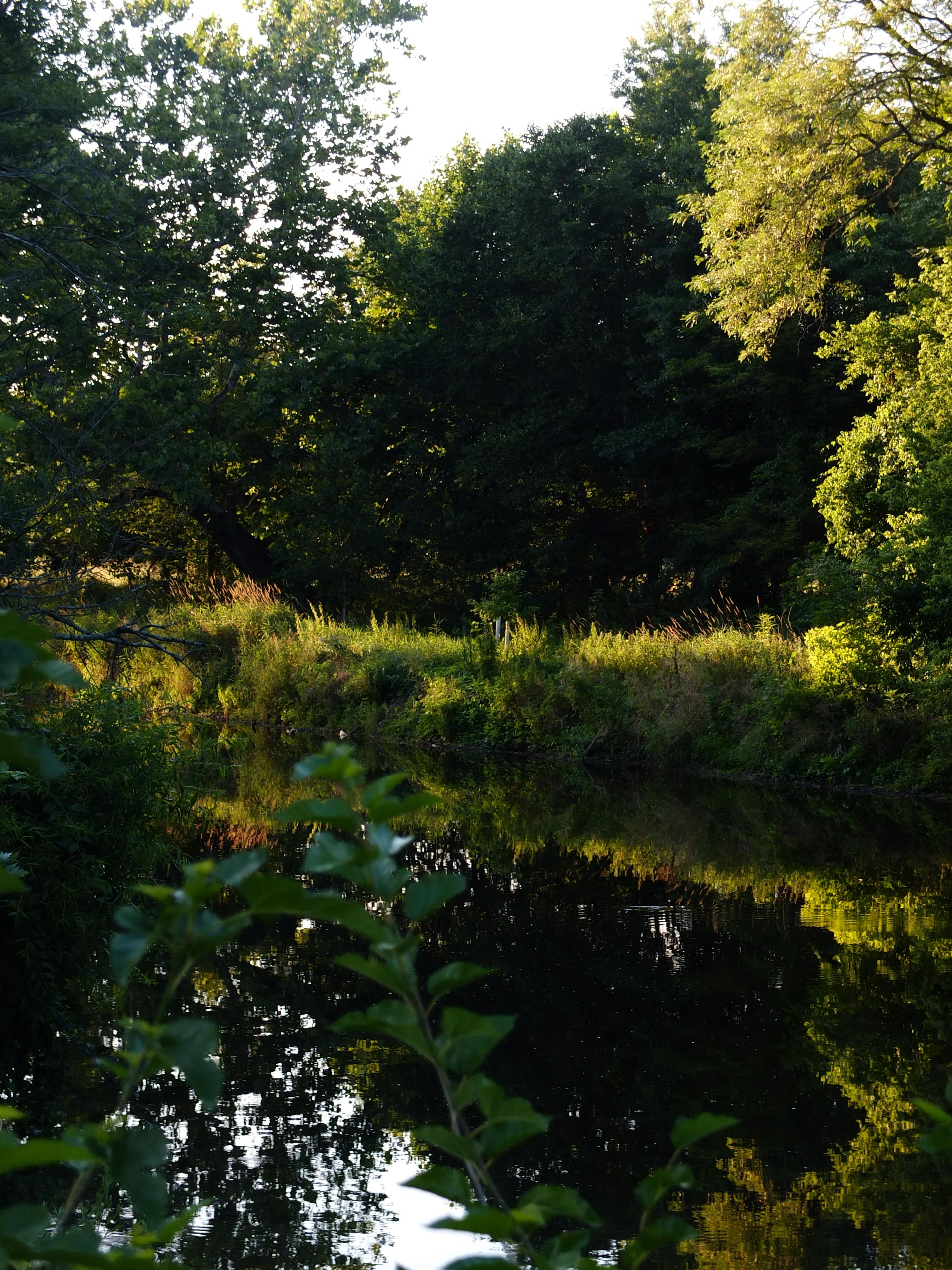 Lush Green Landscape Photos, Download The BEST Free Lush Green ...