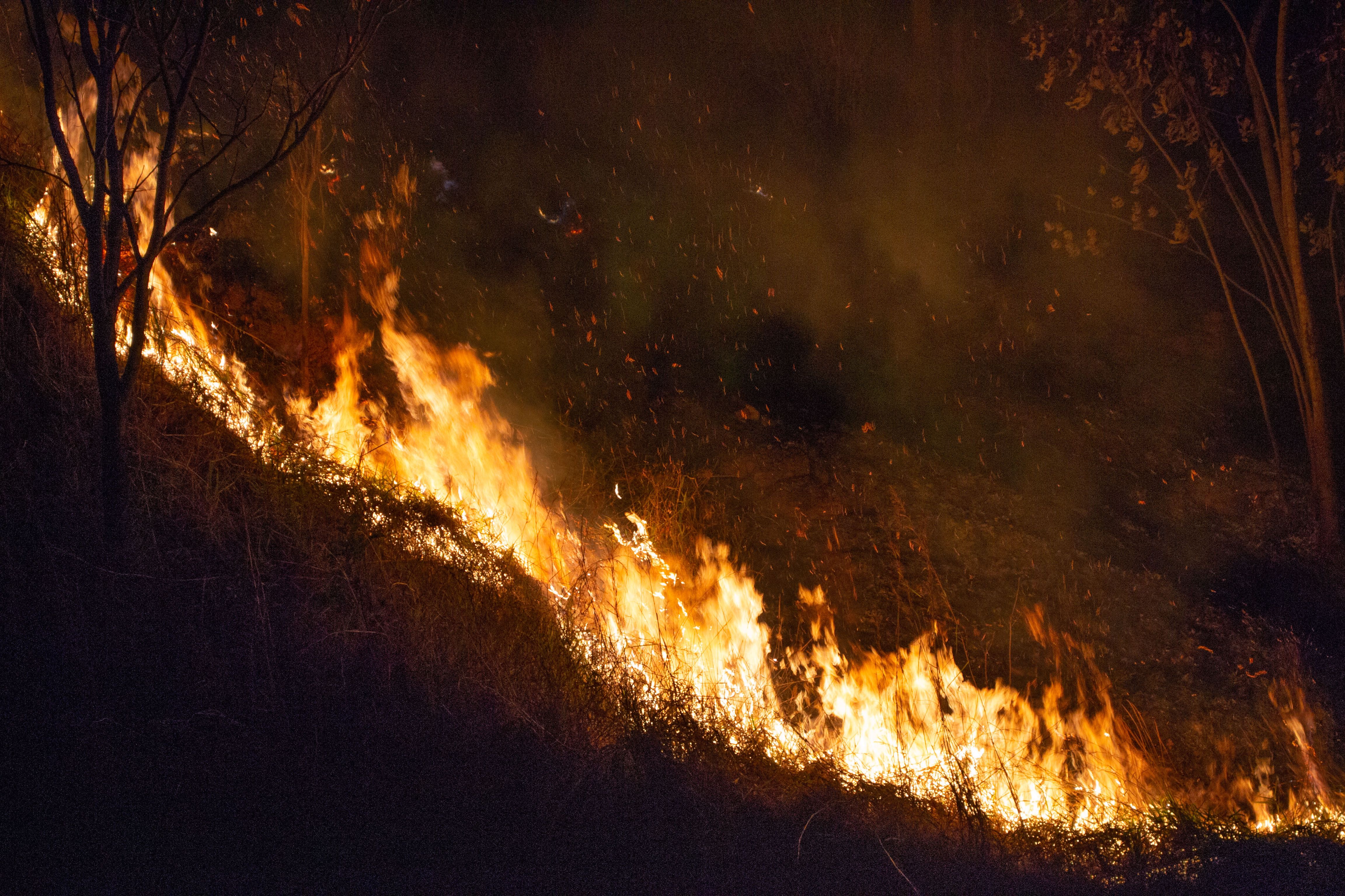 Grass Fire at Night · Free Stock Photo