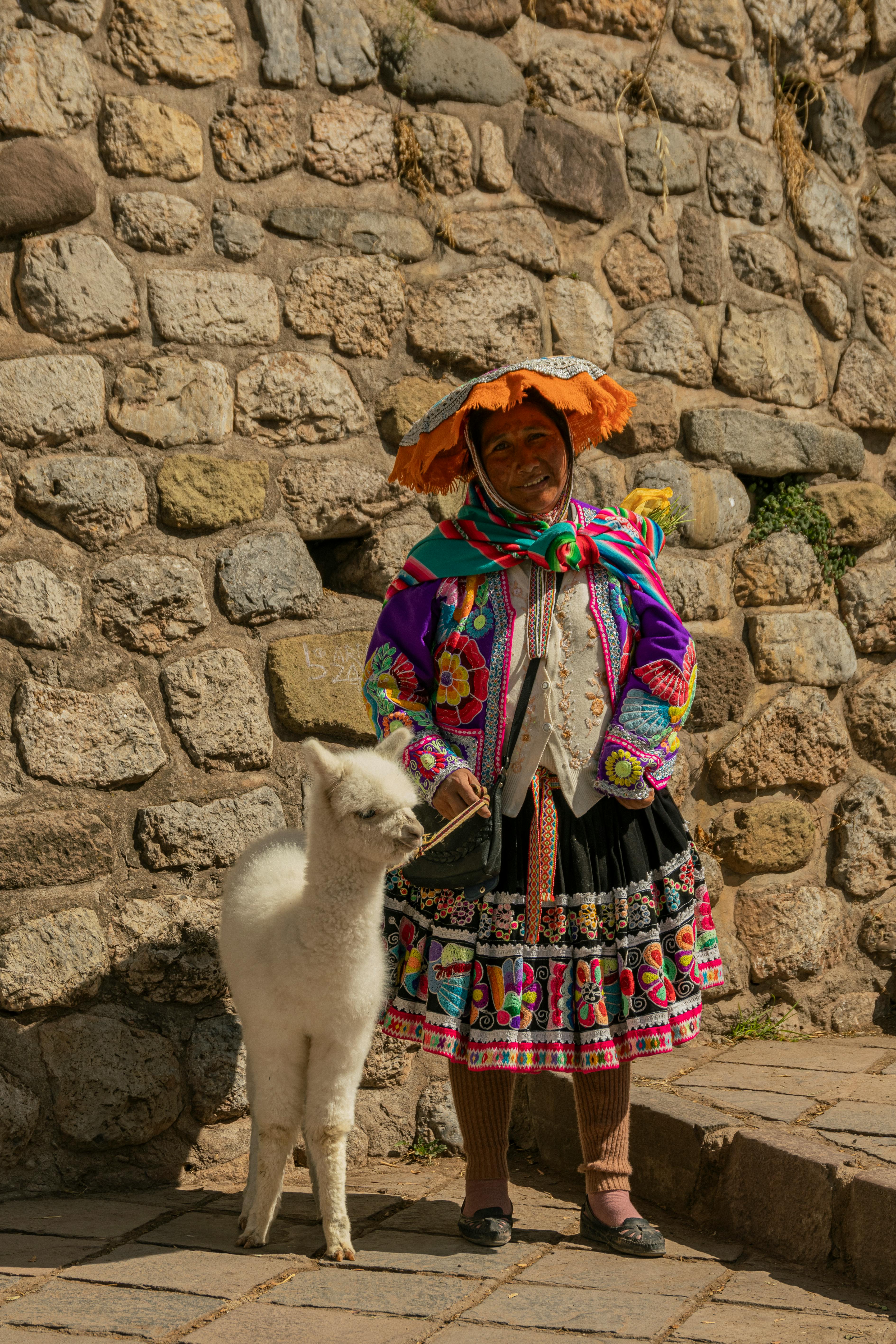 Native Peruvian Woman in Traditional Clothing Posing with a Baby Llama ...