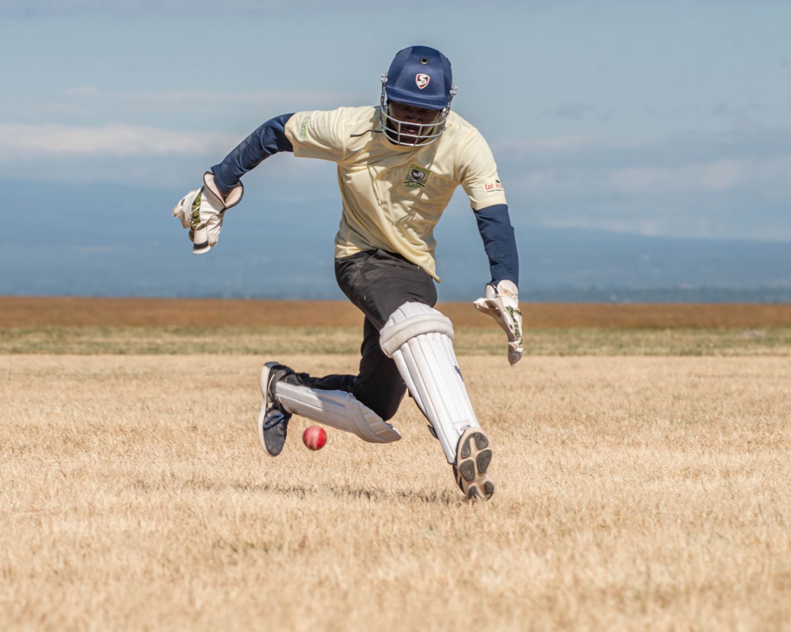 Cricket Match Photos, Download The BEST Free Cricket Match Stock Photos ...